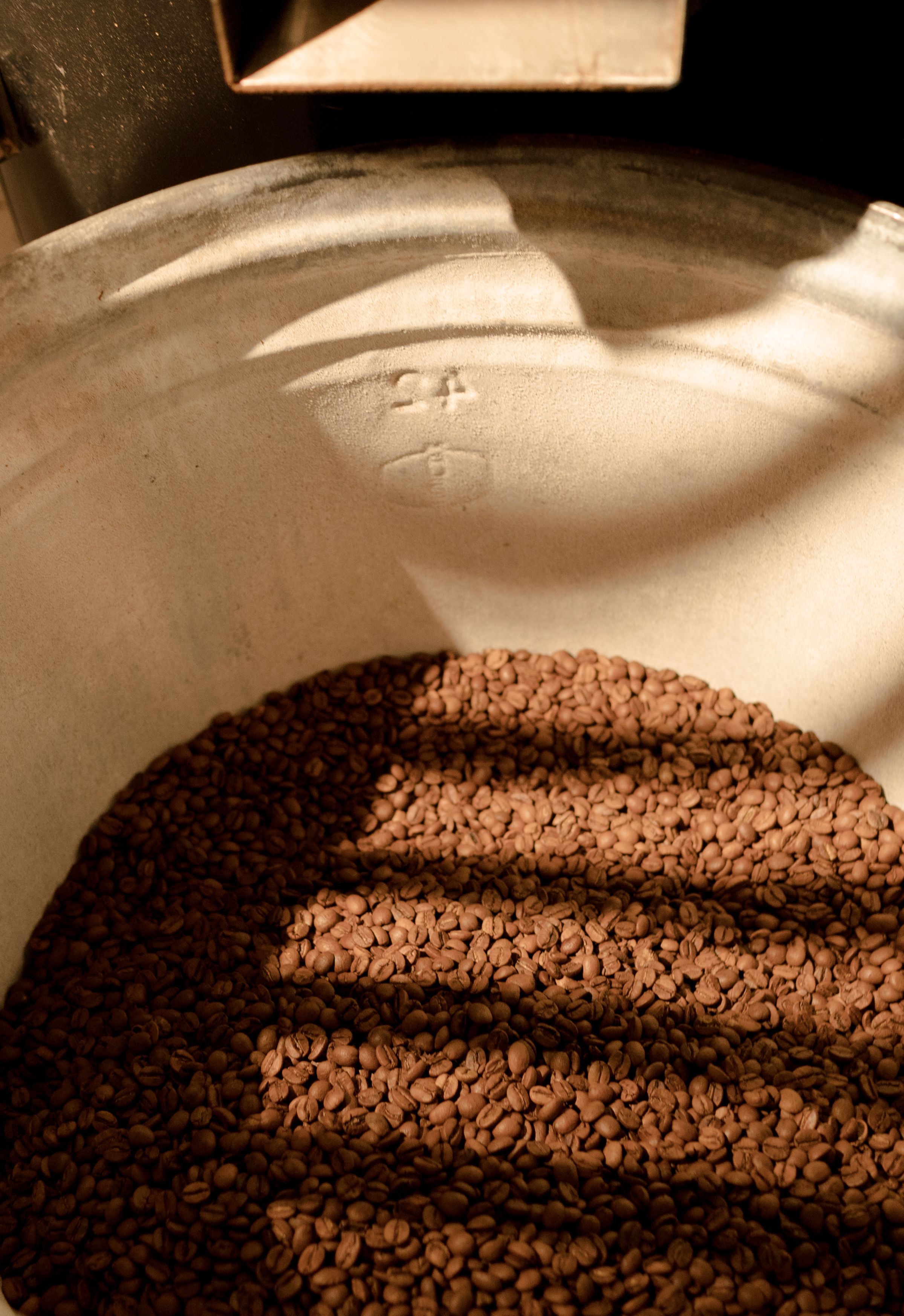 Light Beans Photos, Download The BEST Free Light Beans Stock Photos ...