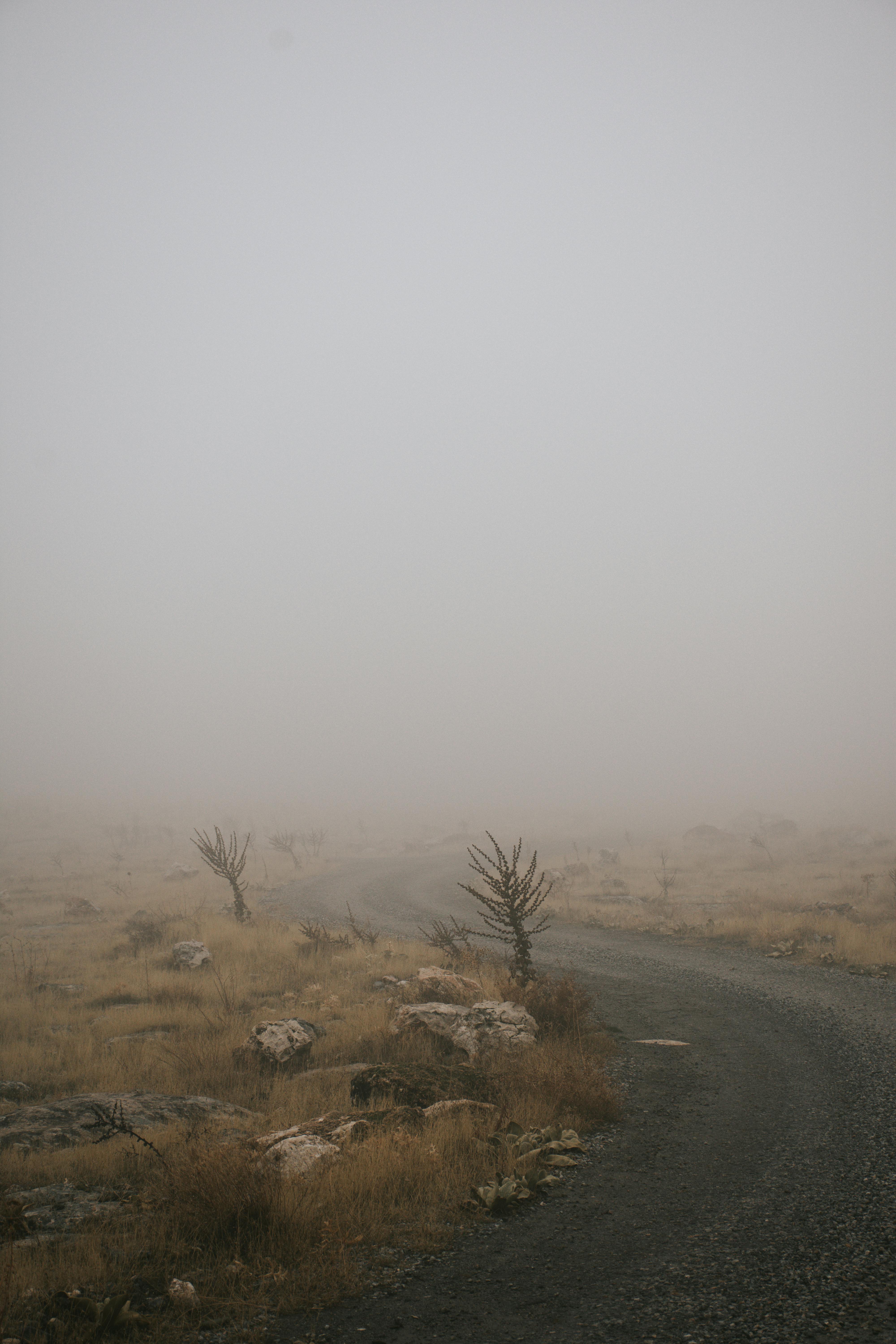 Photo of a Foggy Desert · Free Stock Photo