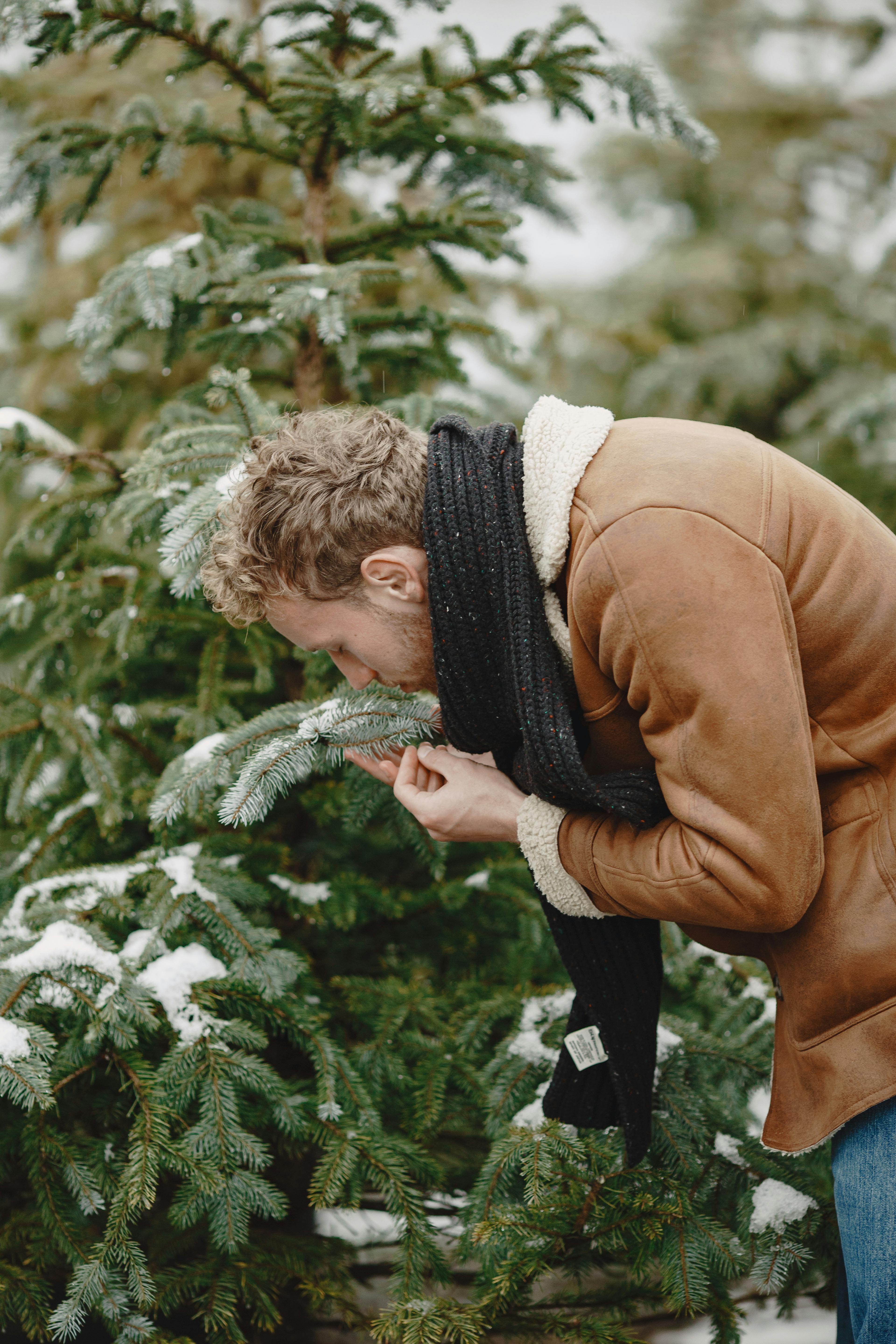A Man Wearing Brown Winter Jacket Smelling the Blue Spruce Plant · Free ...
