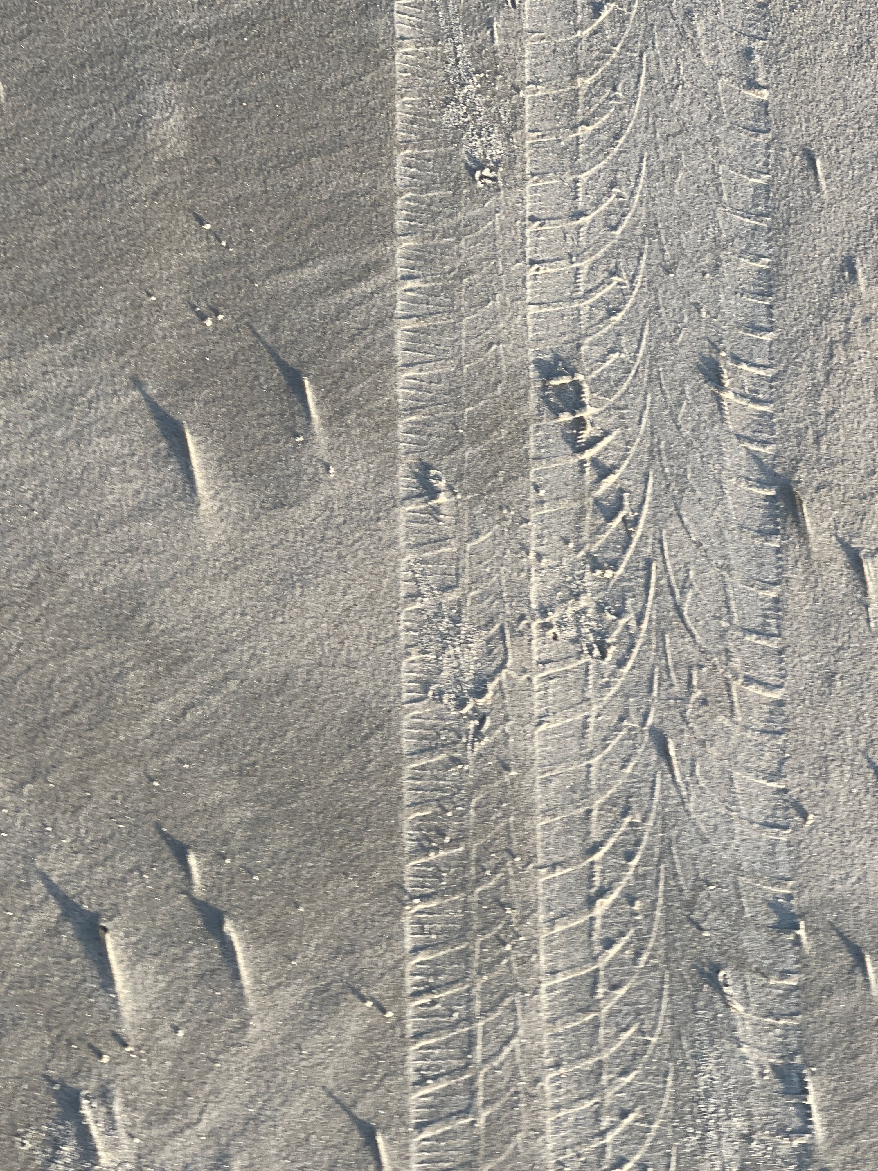 Tire marks on the Gray Sand · Free Stock Photo