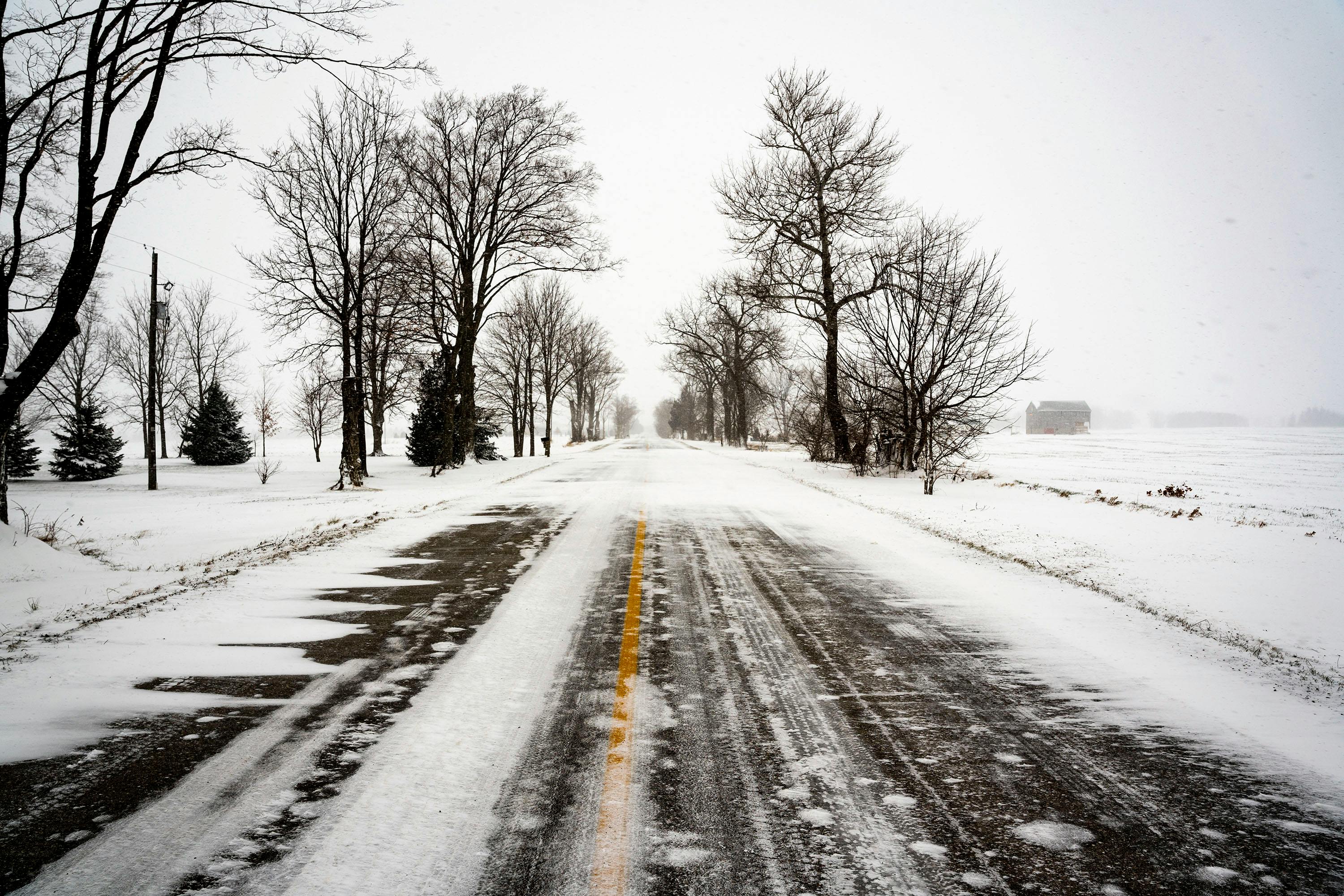 Aerial View of Leafless Trees Near the River · Free Stock Photo