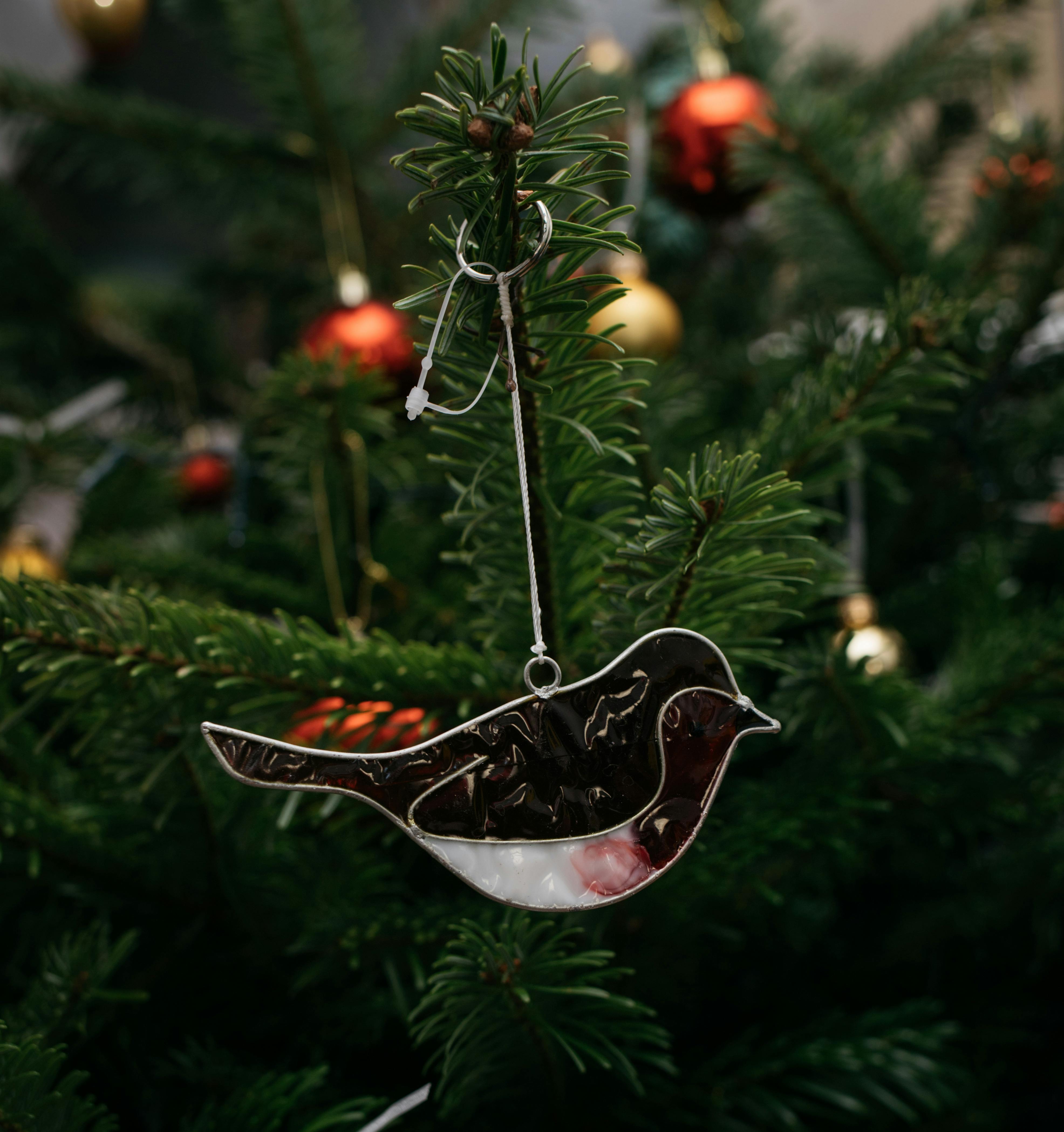 Christmas Bird Photos, Download The BEST Free Christmas Bird Stock ...