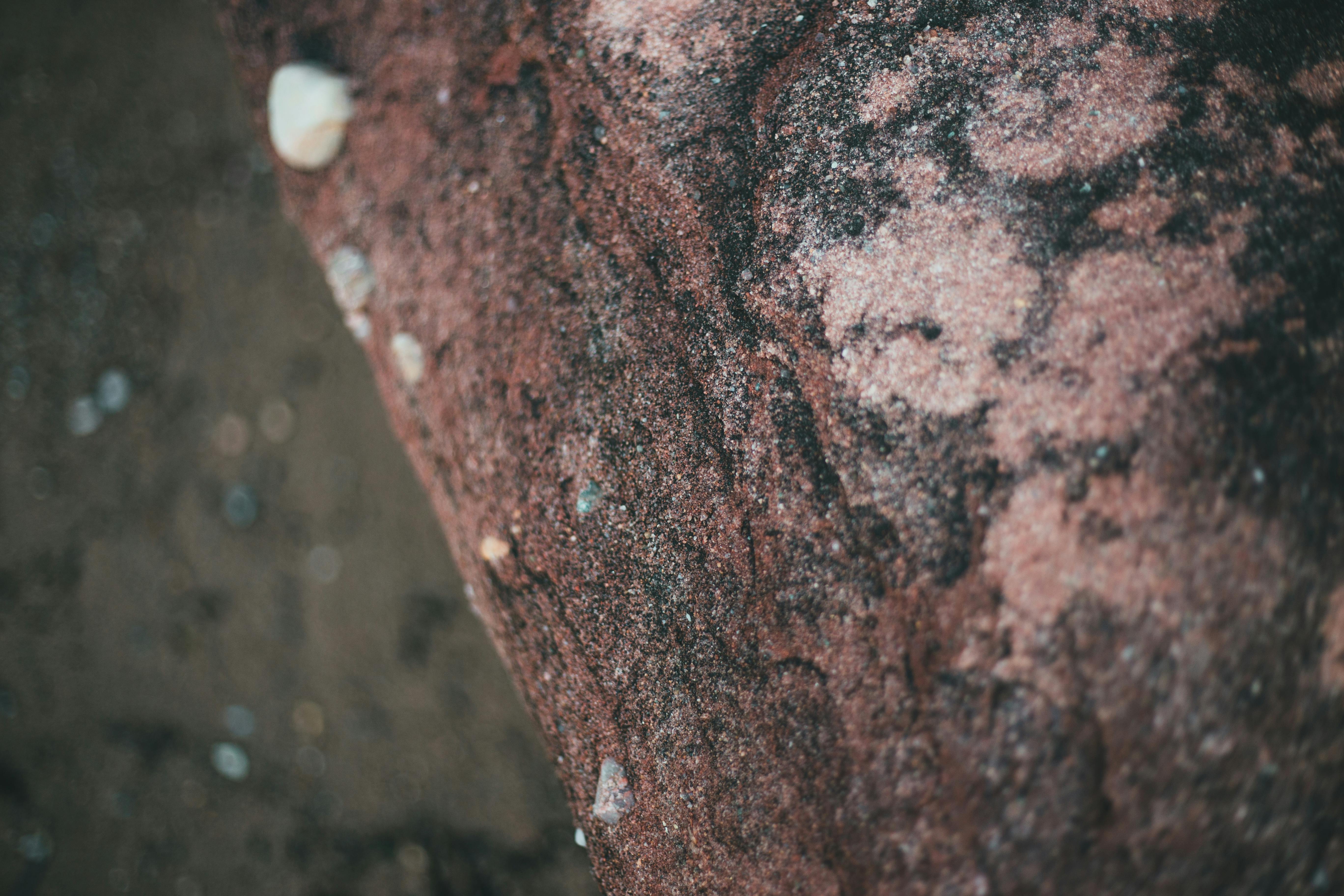 Pebble Stone on Ground · Free Stock Photo