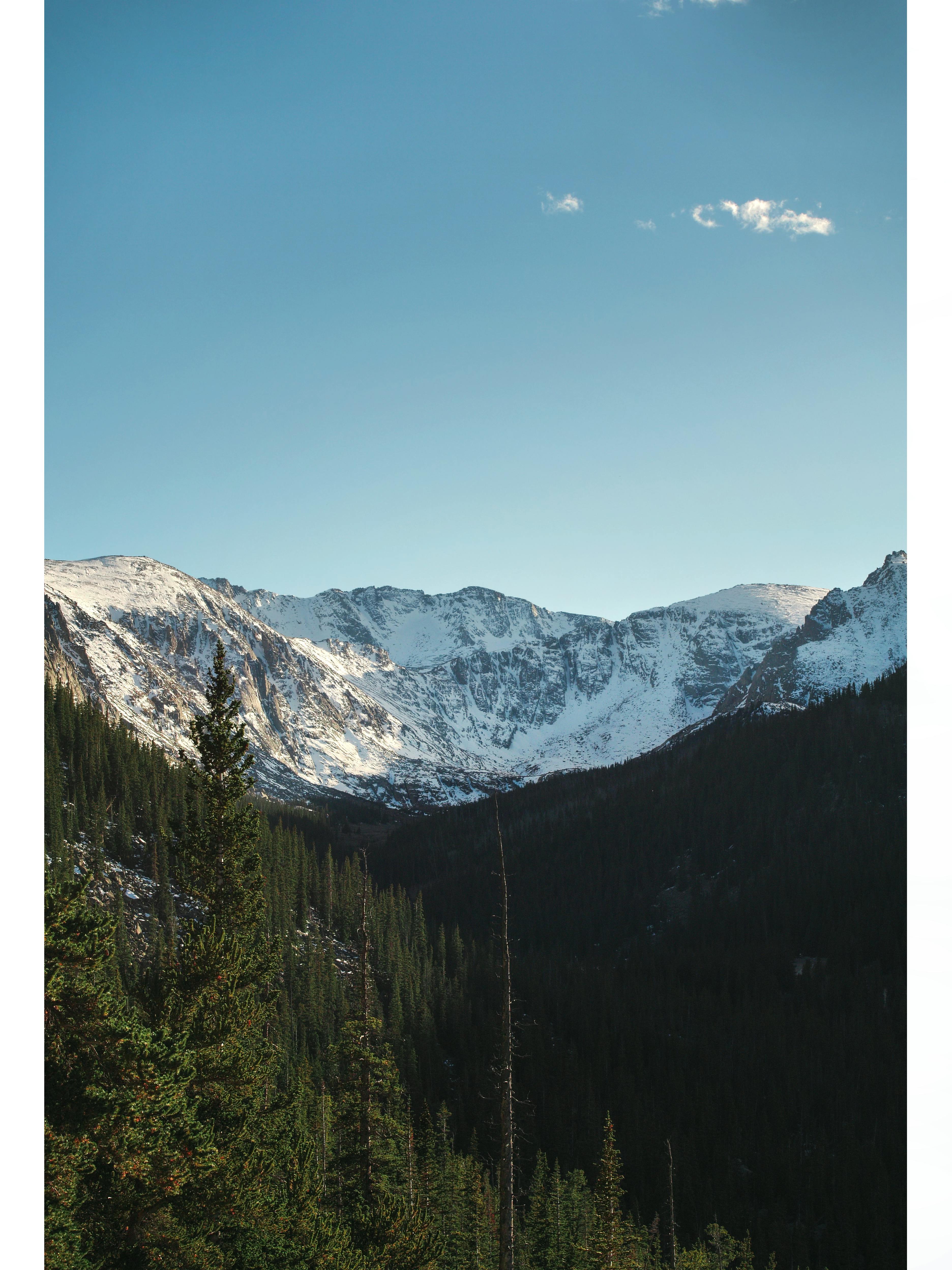 Andrew Balazs - 写真