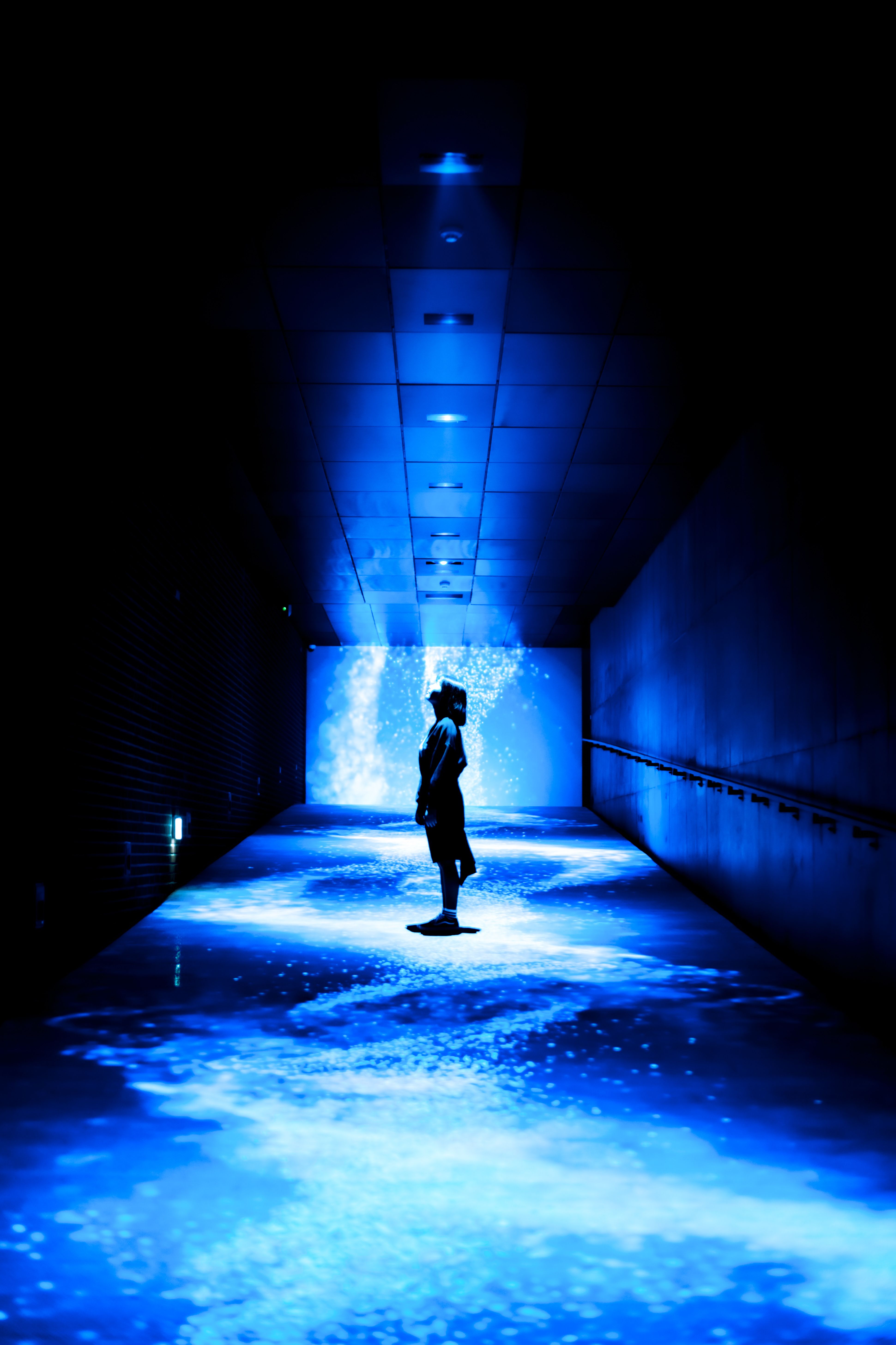 Immersive Led Tunnel Photos, Download The BEST Free Immersive Led ...