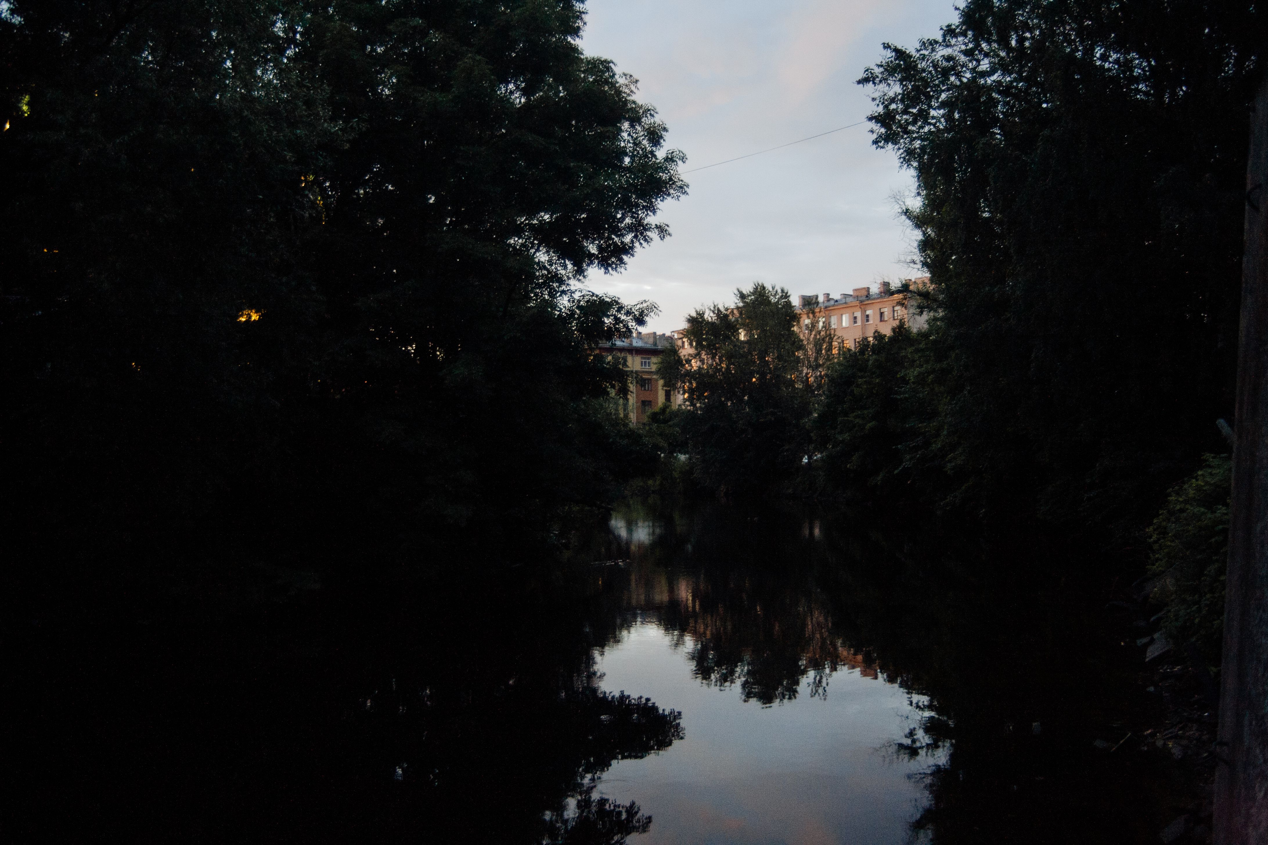 Calm River in Between Trees · Free Stock Photo