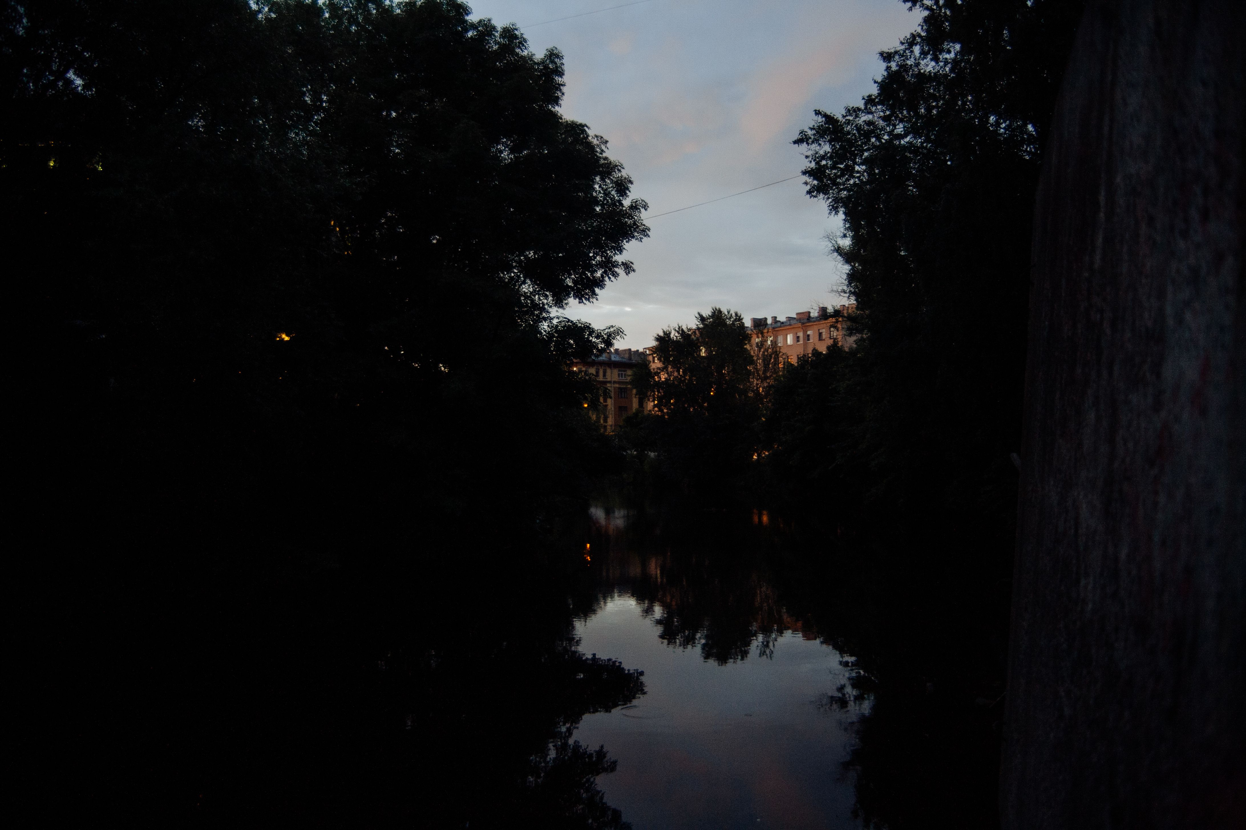 Tree Reflection over the Surface of a Creek Water · Free Stock Photo
