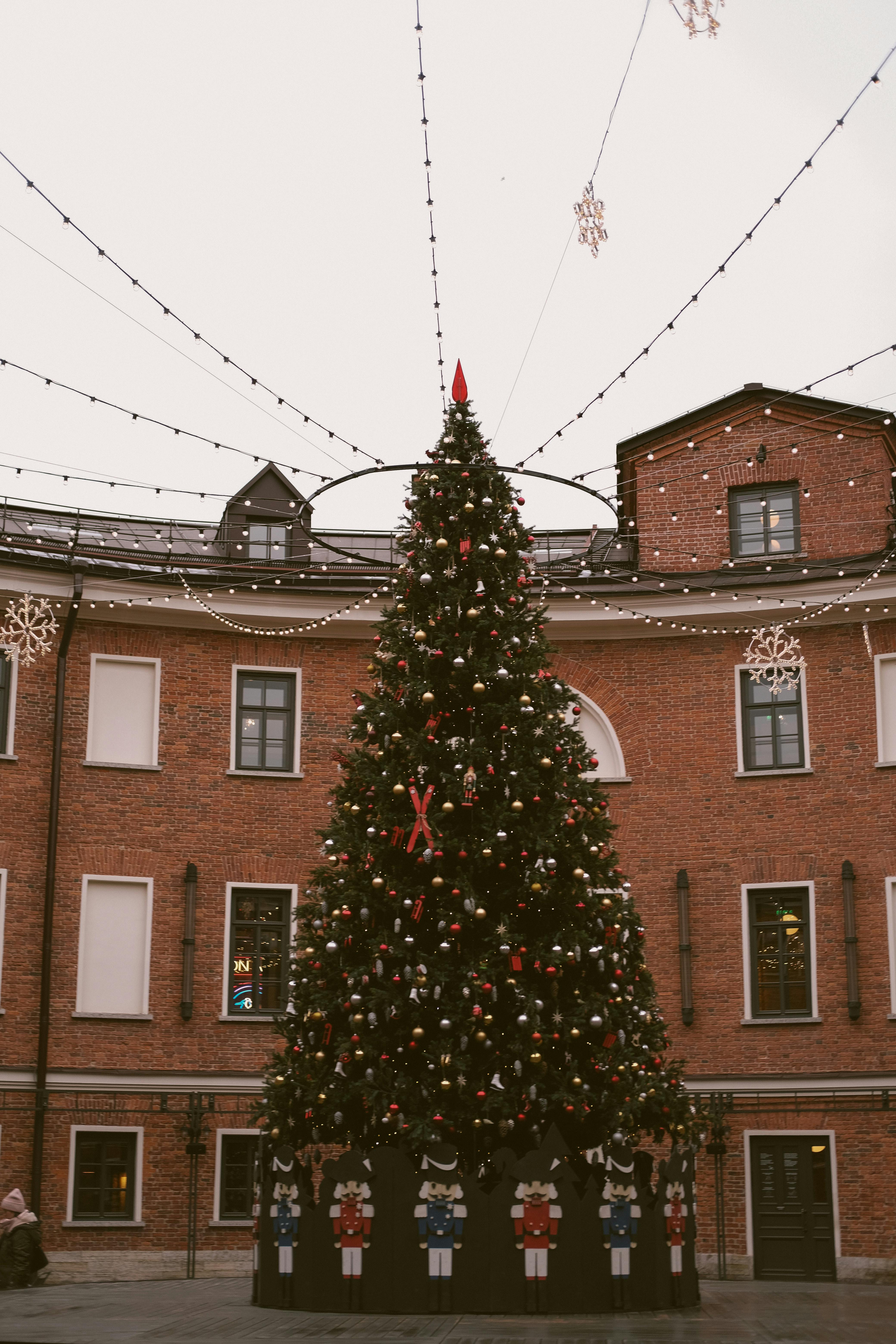 Christmas Tree in front of a Building · Free Stock Photo