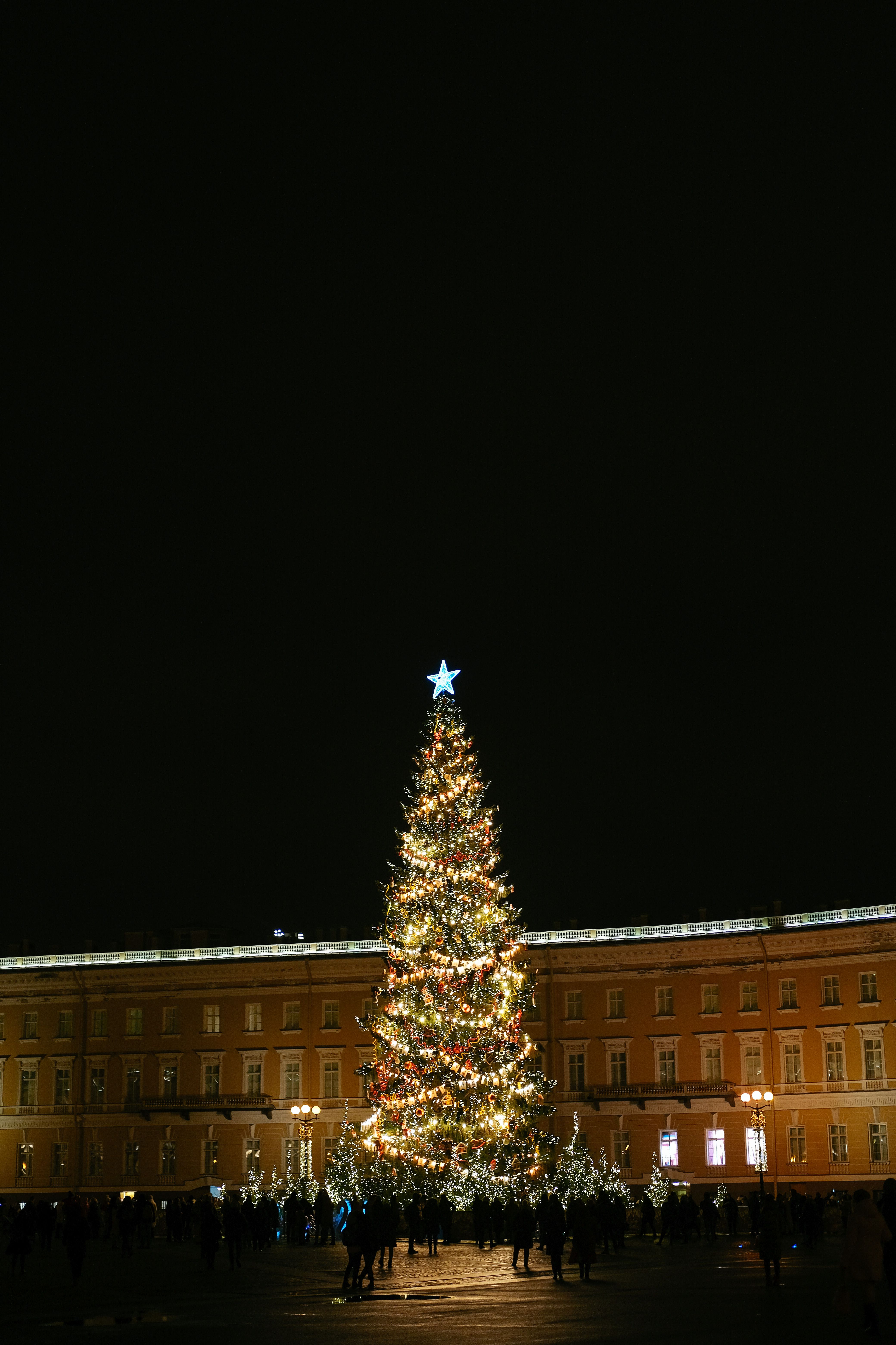 Outdoor Christmas Tree Illuminated at Night · Free Stock Photo