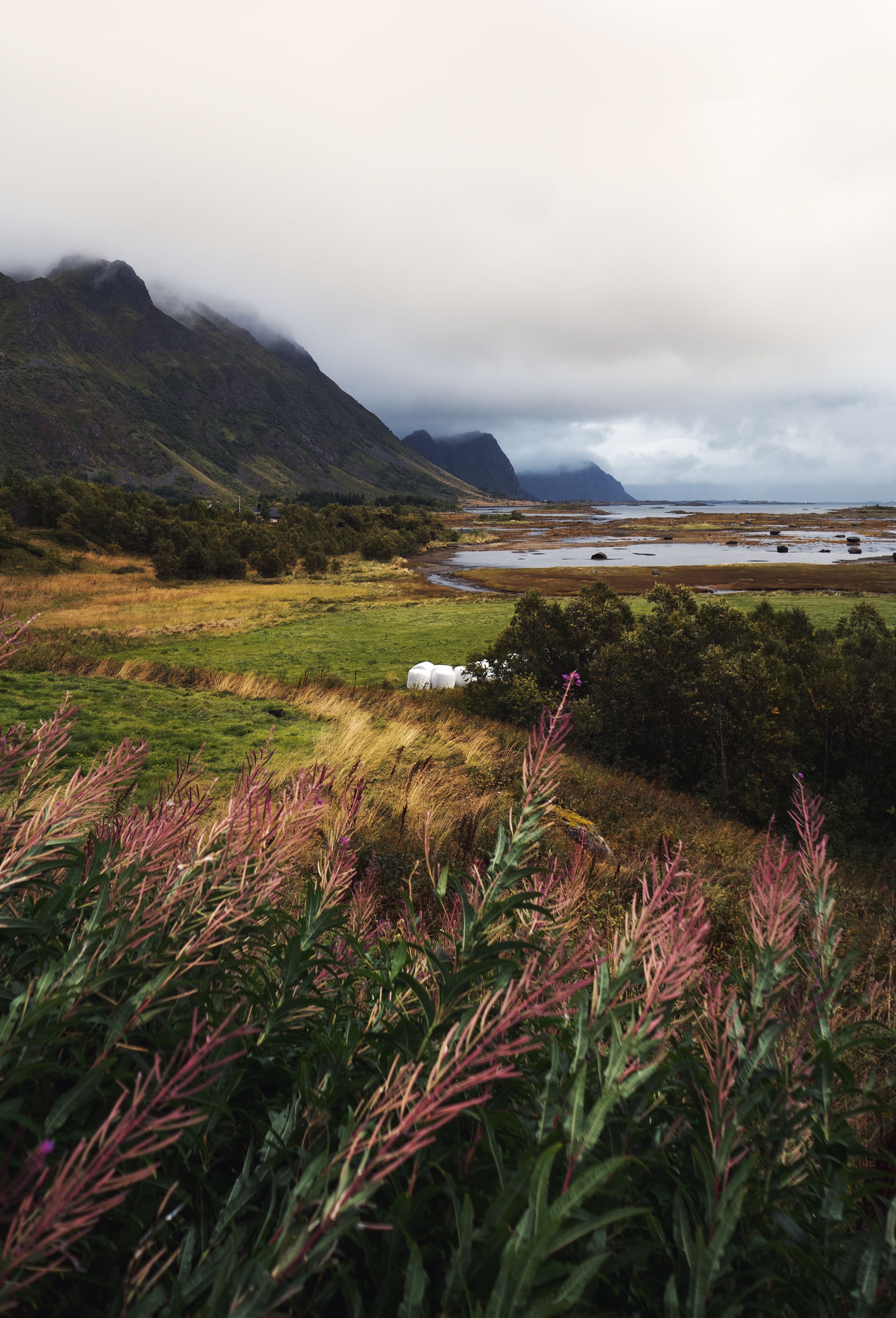 A View of a Beautiful Landscape · Free Stock Photo