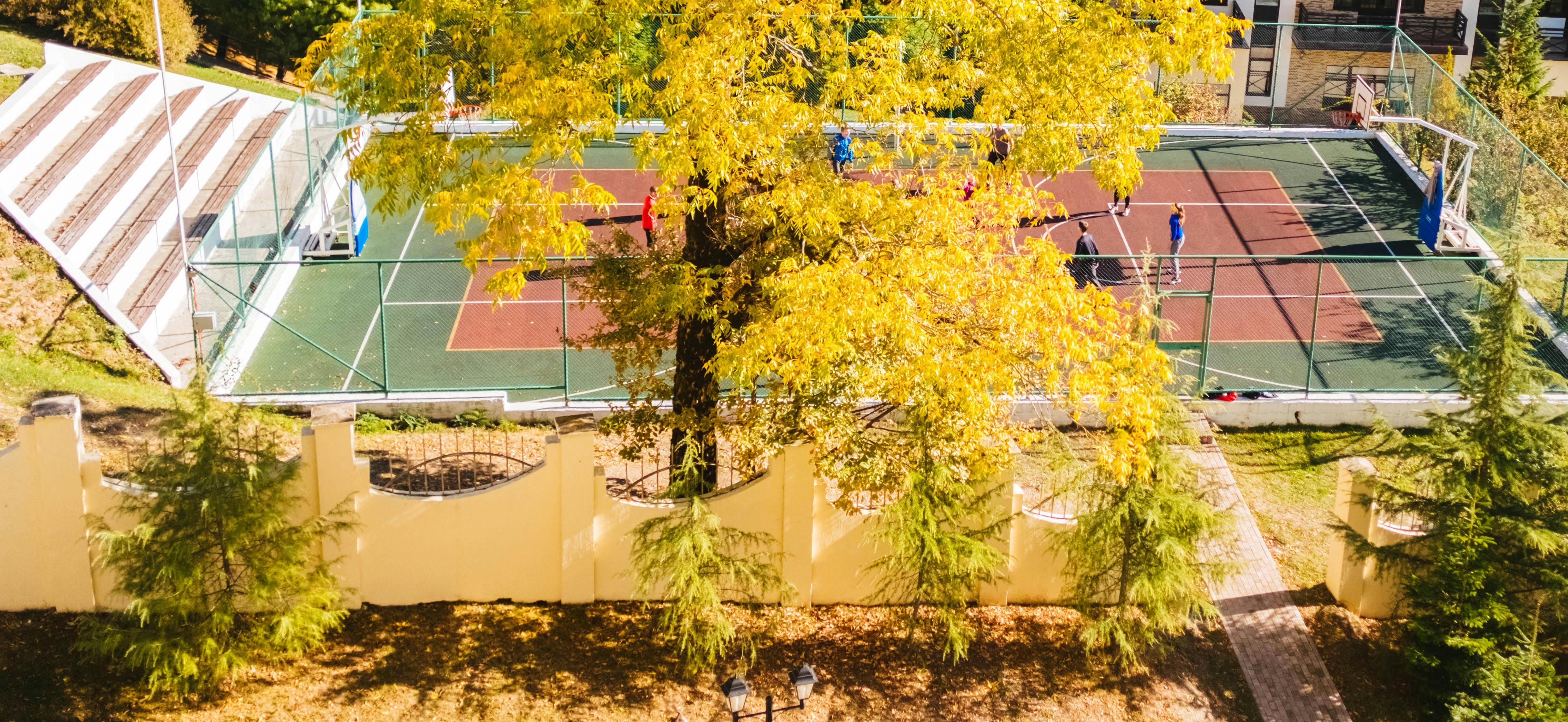 Igor Starkov · Photography