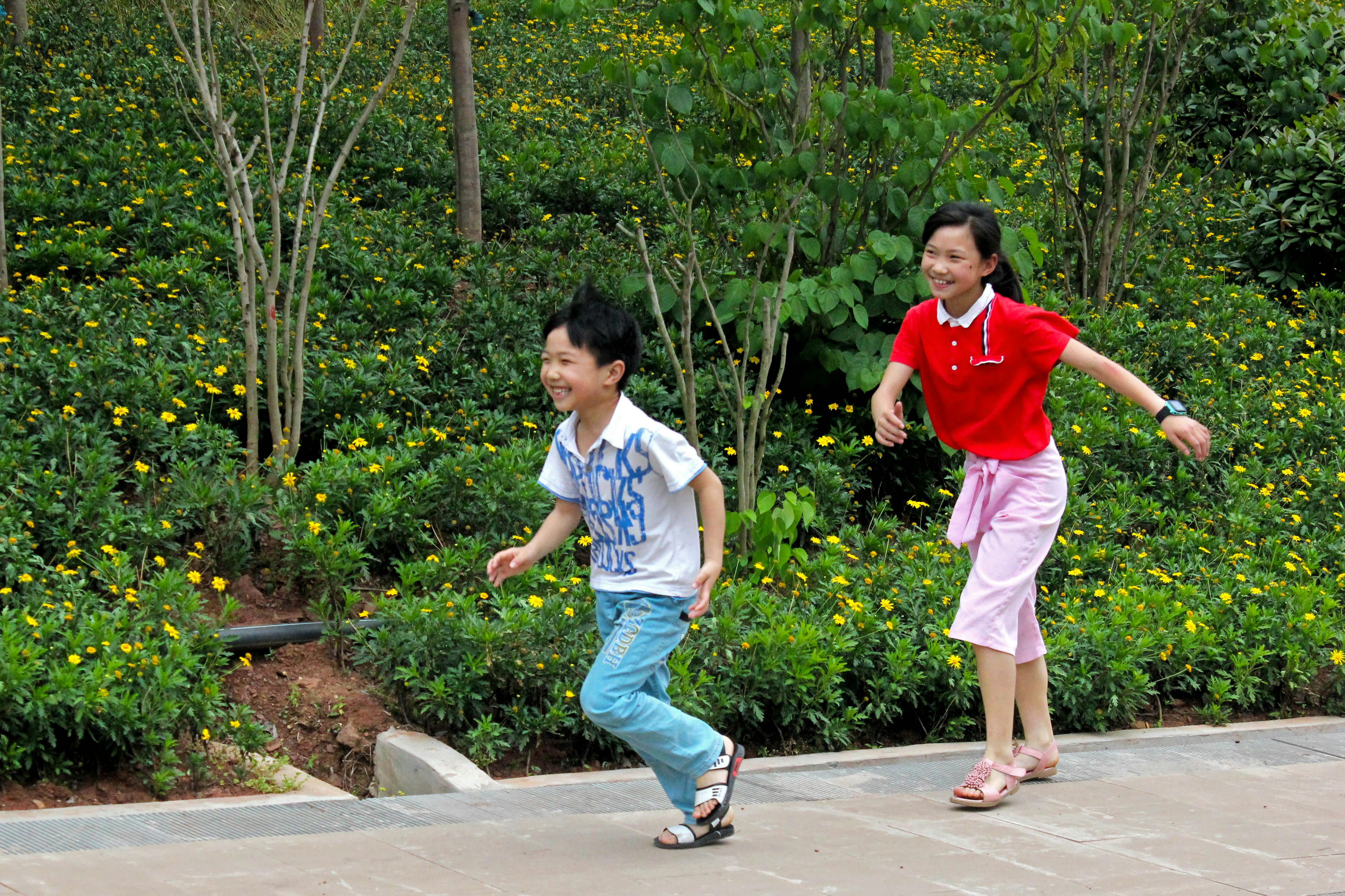 Kids Playing in the Park Near Green Plants · Free Stock Photo