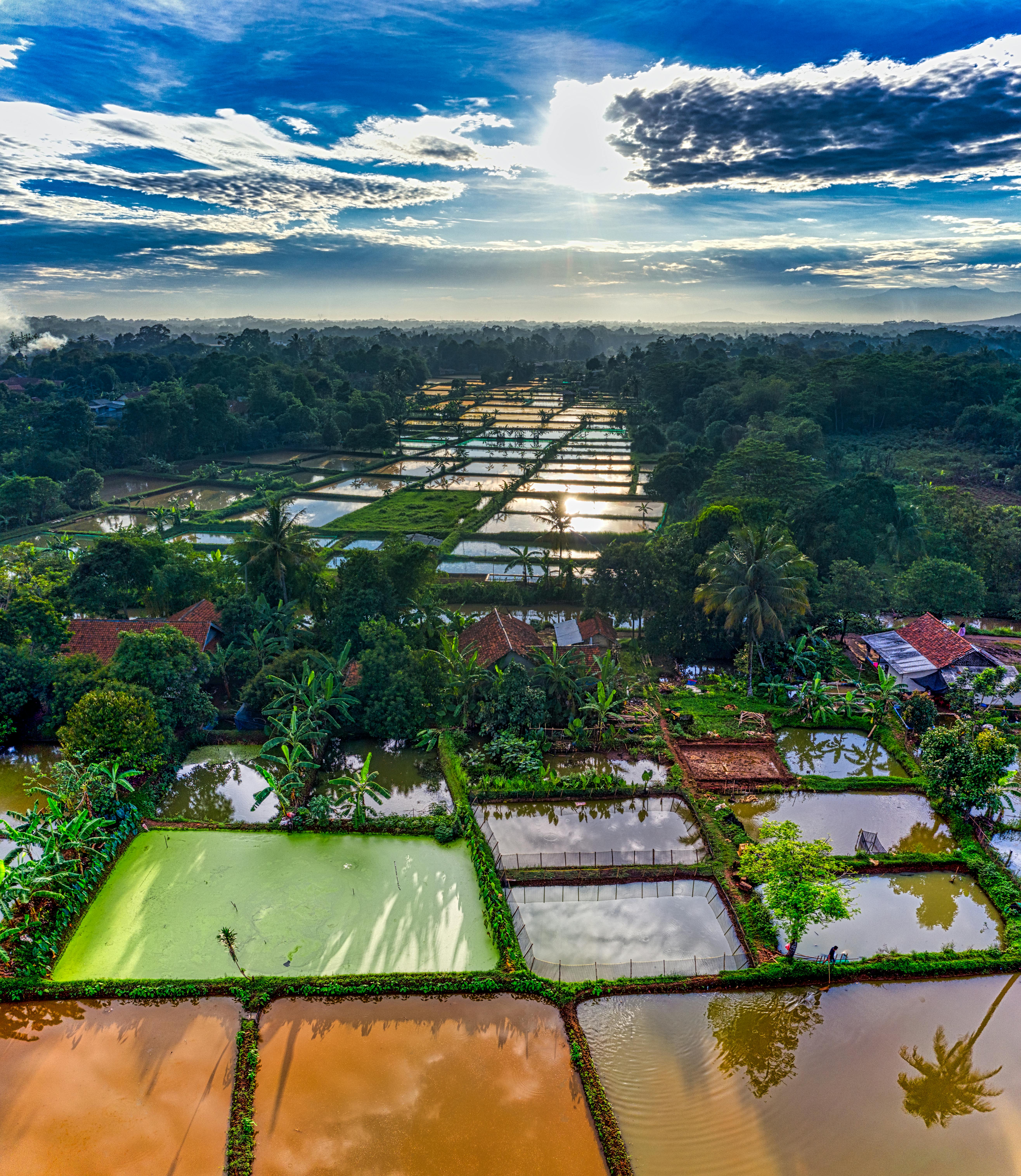 Rural settlement with fields in tropical countryside · Free Stock Photo