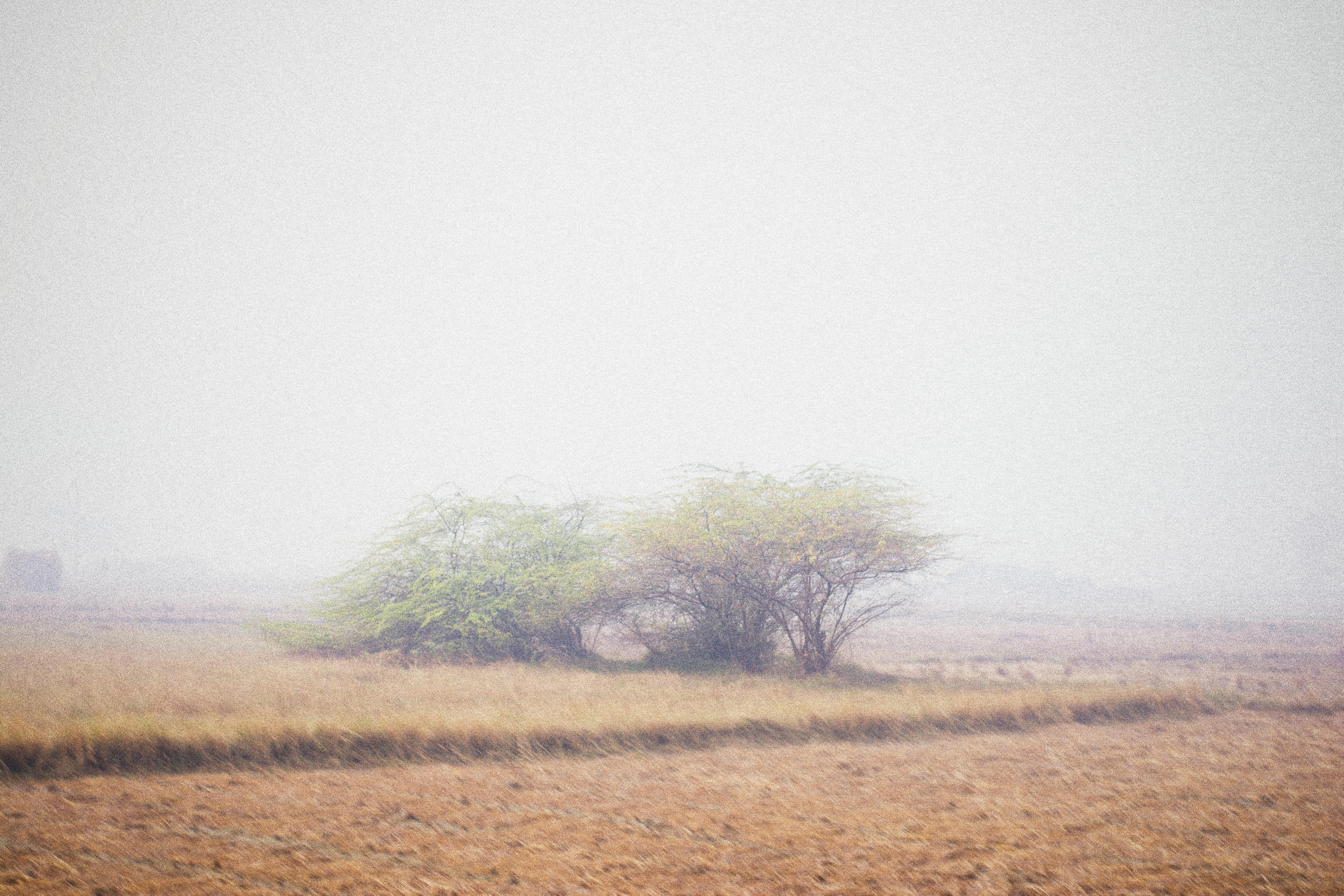 HARSH KUSHWAHA · Photographie