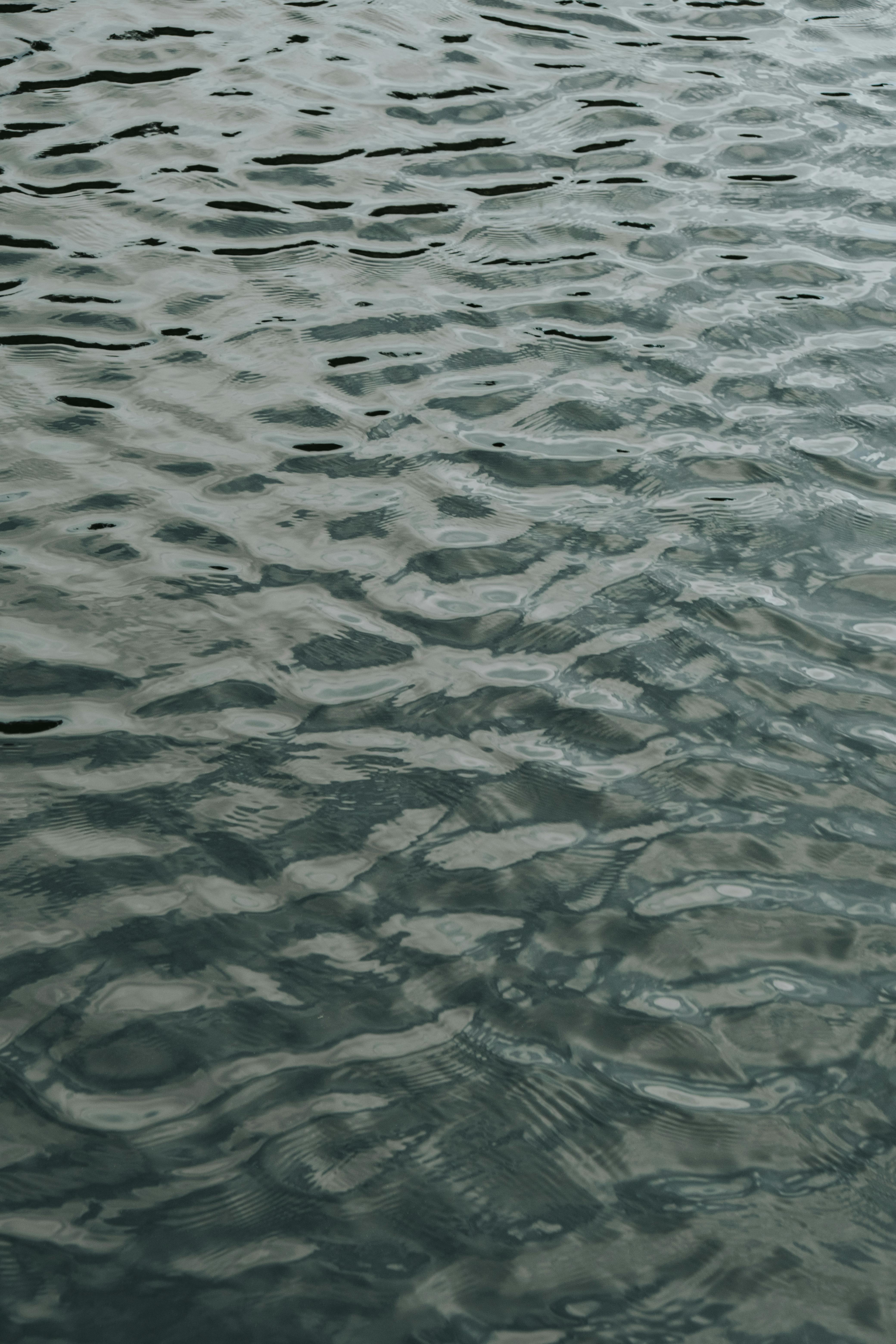 Ripples on Calm Water Surface · Free Stock Photo