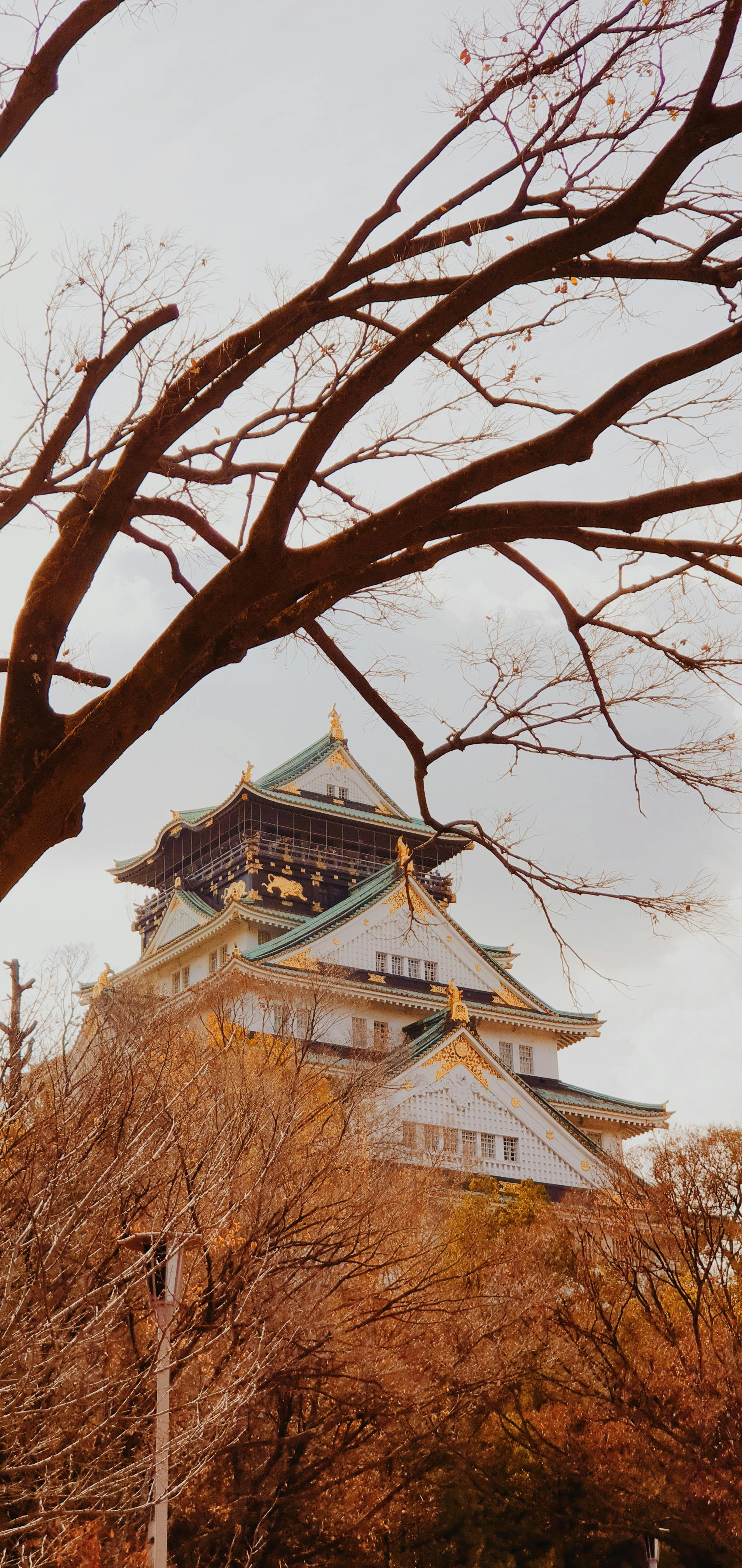 Traditional Asian House in Nature Landscape · Free Stock Photo