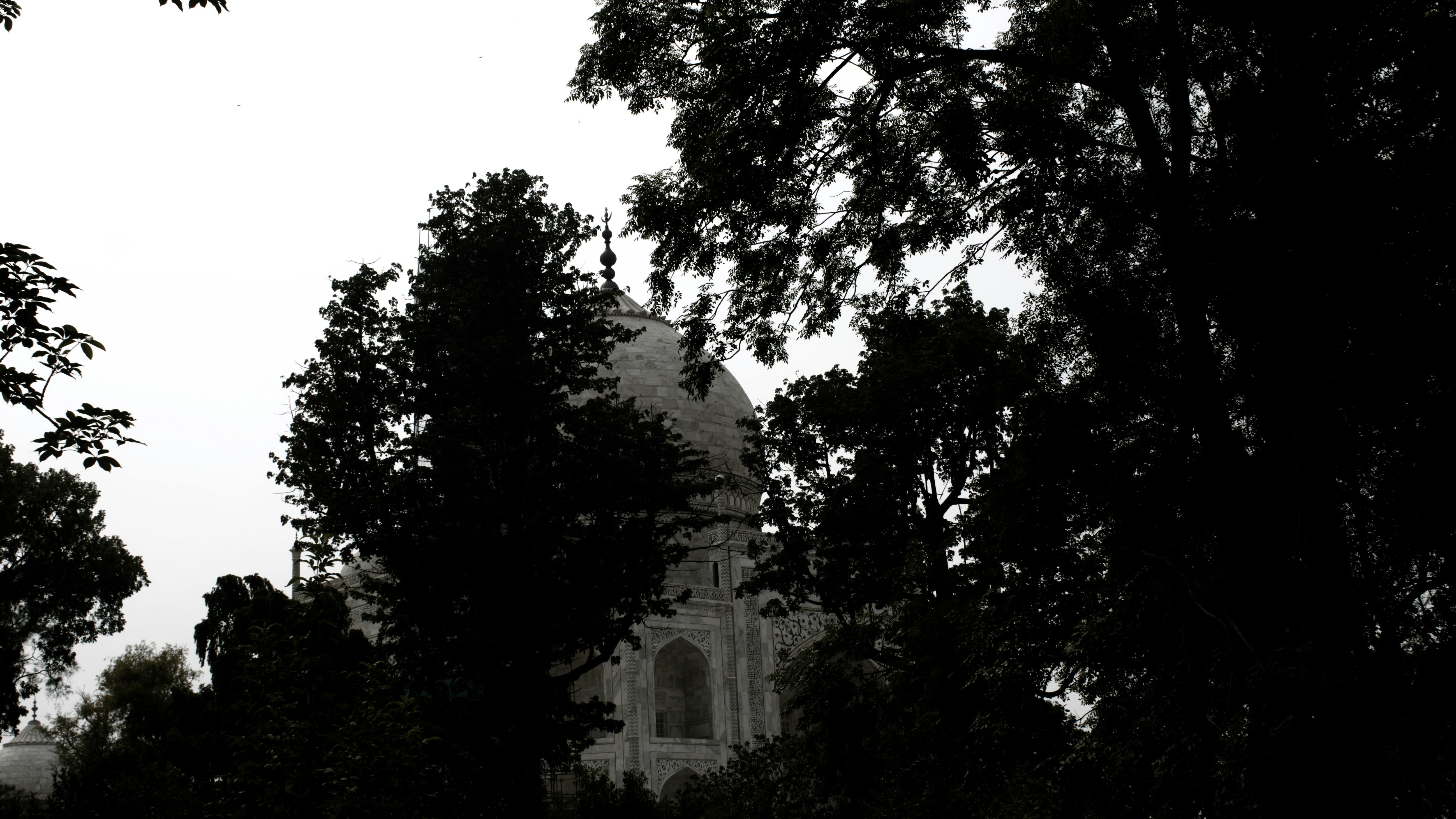 Sricharan Boddupalli - Photography