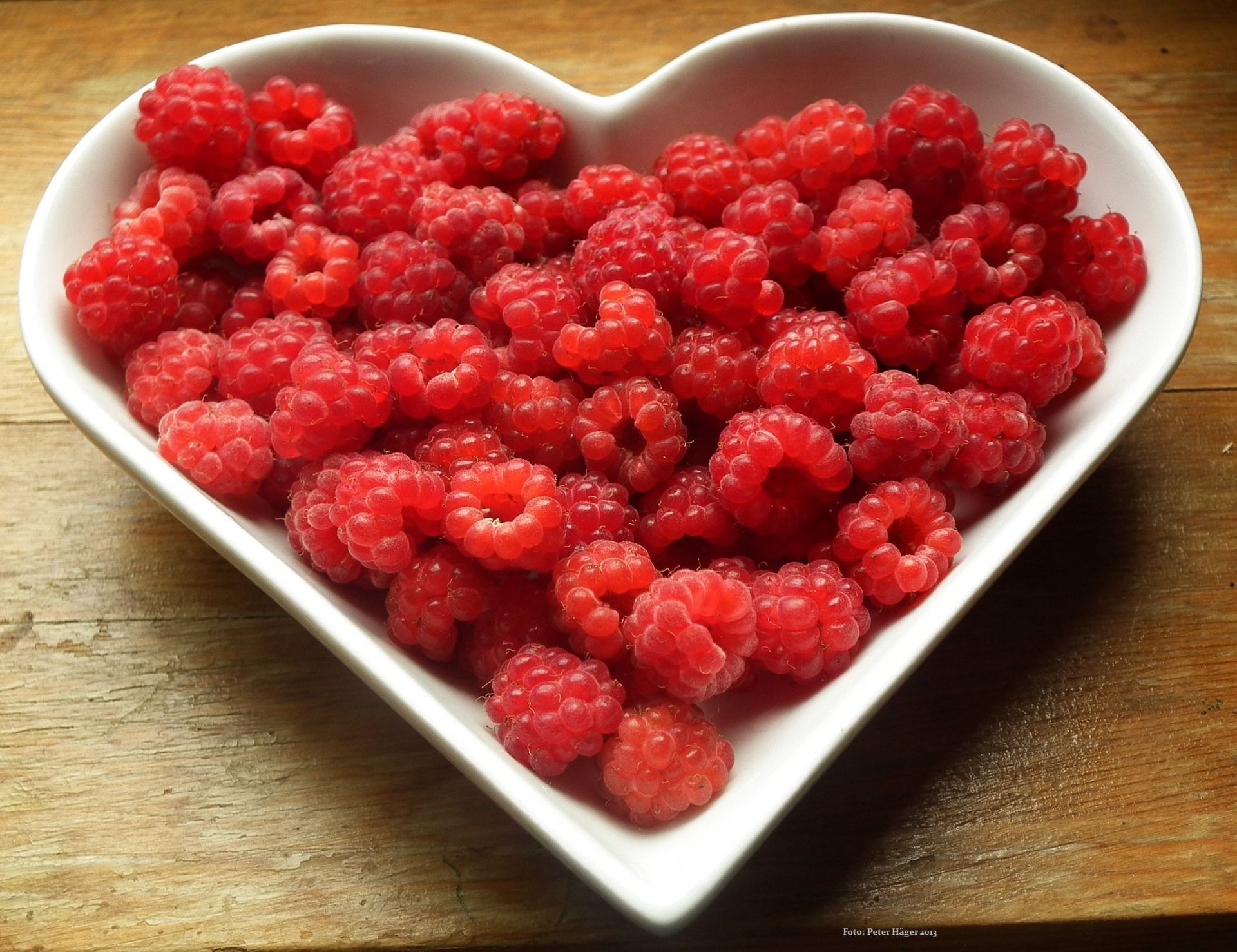Red Berries on Tree · Free Stock Photo