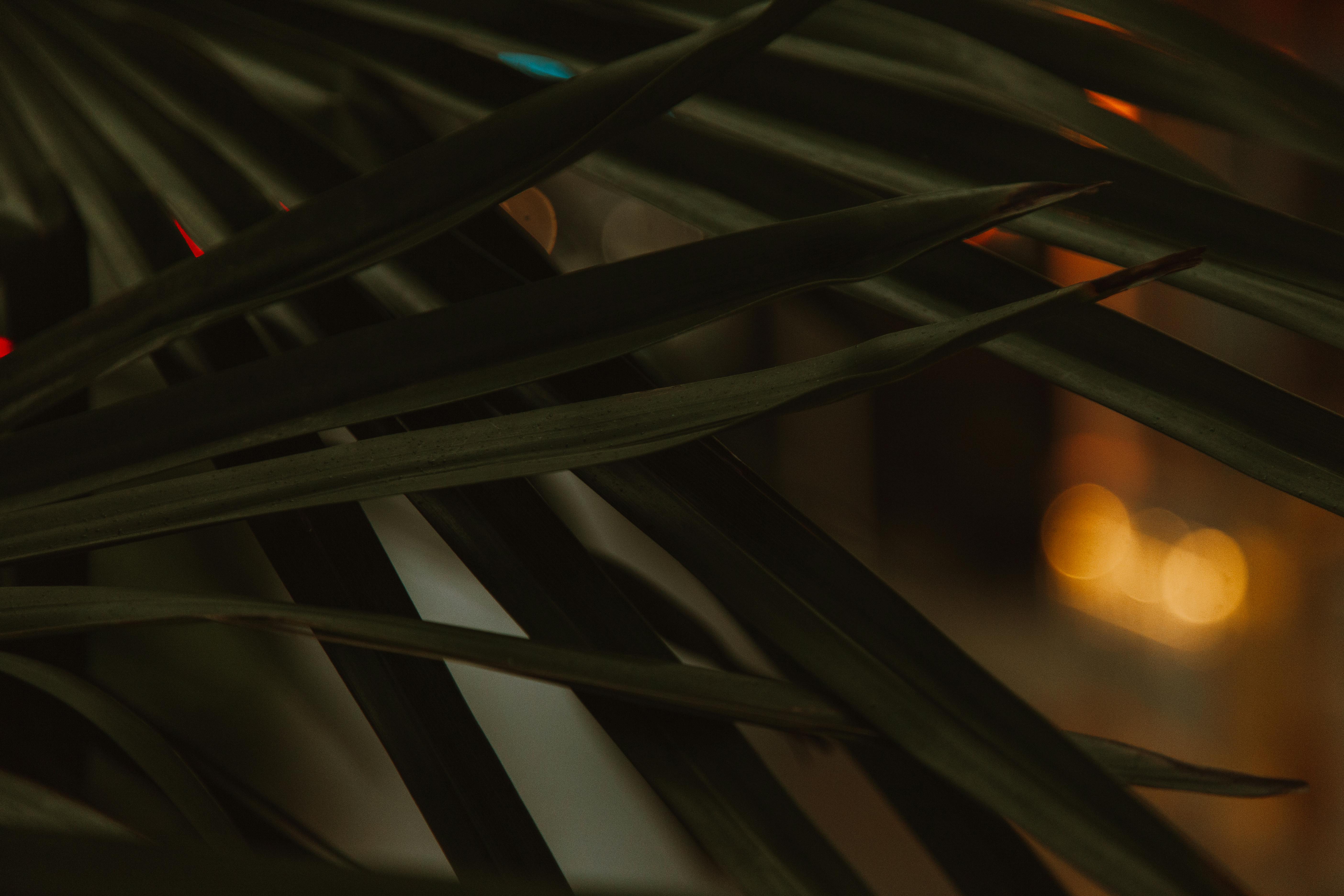 100,000+ Best Login Background Photos · 100% Free Download · Pexels ...