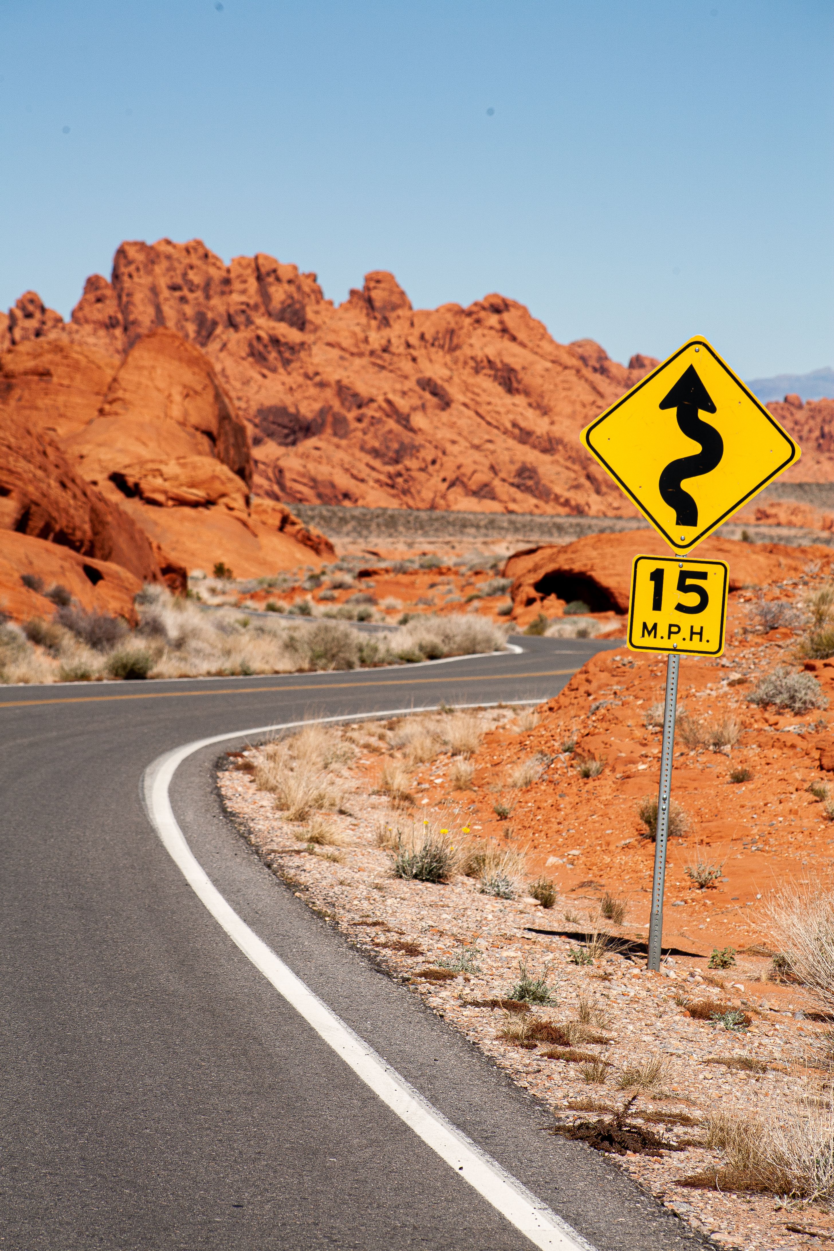 A Yellow Road Signs near the Curvy Road · Free Stock Photo