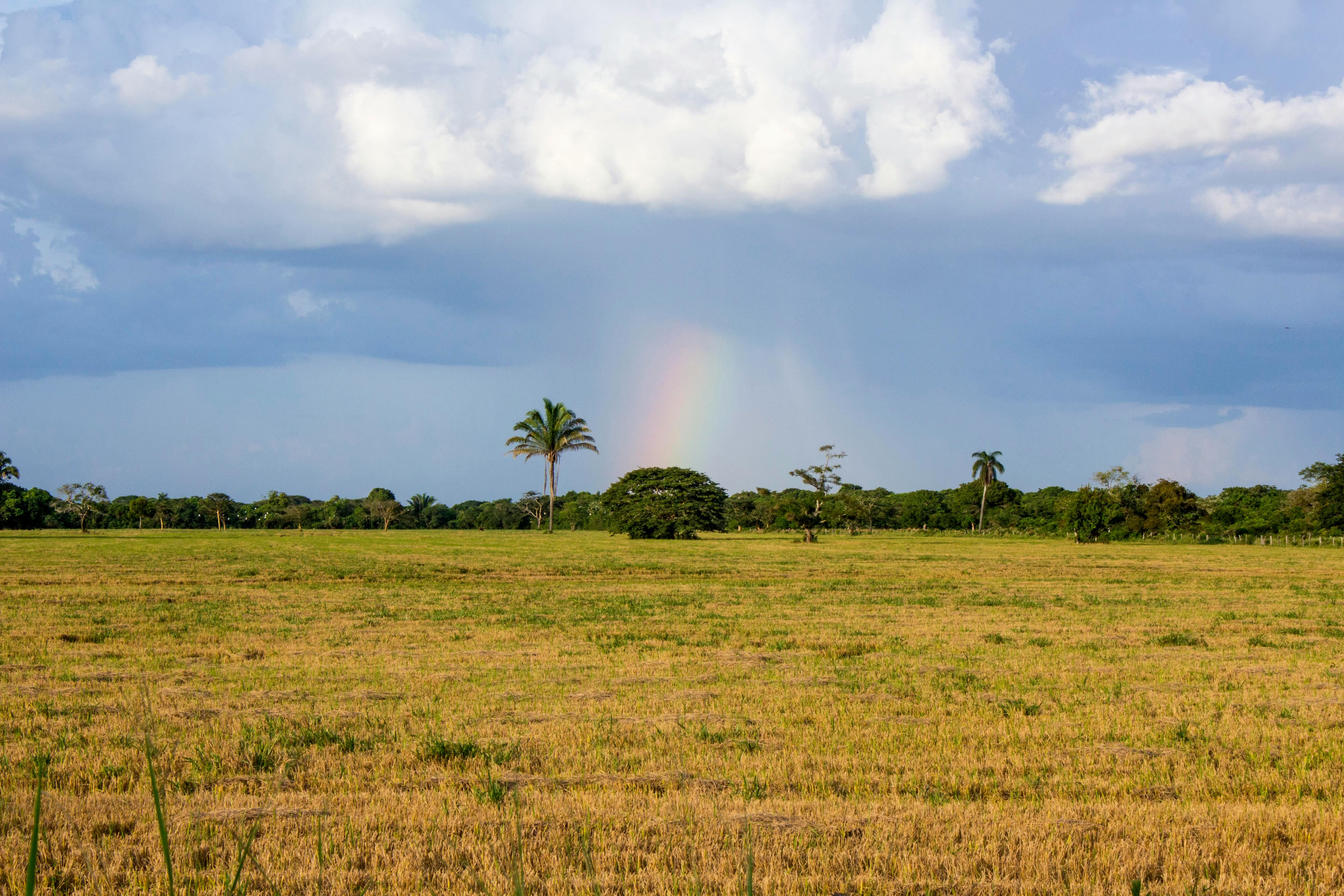 Free stock photo of casanare, colombia, llano