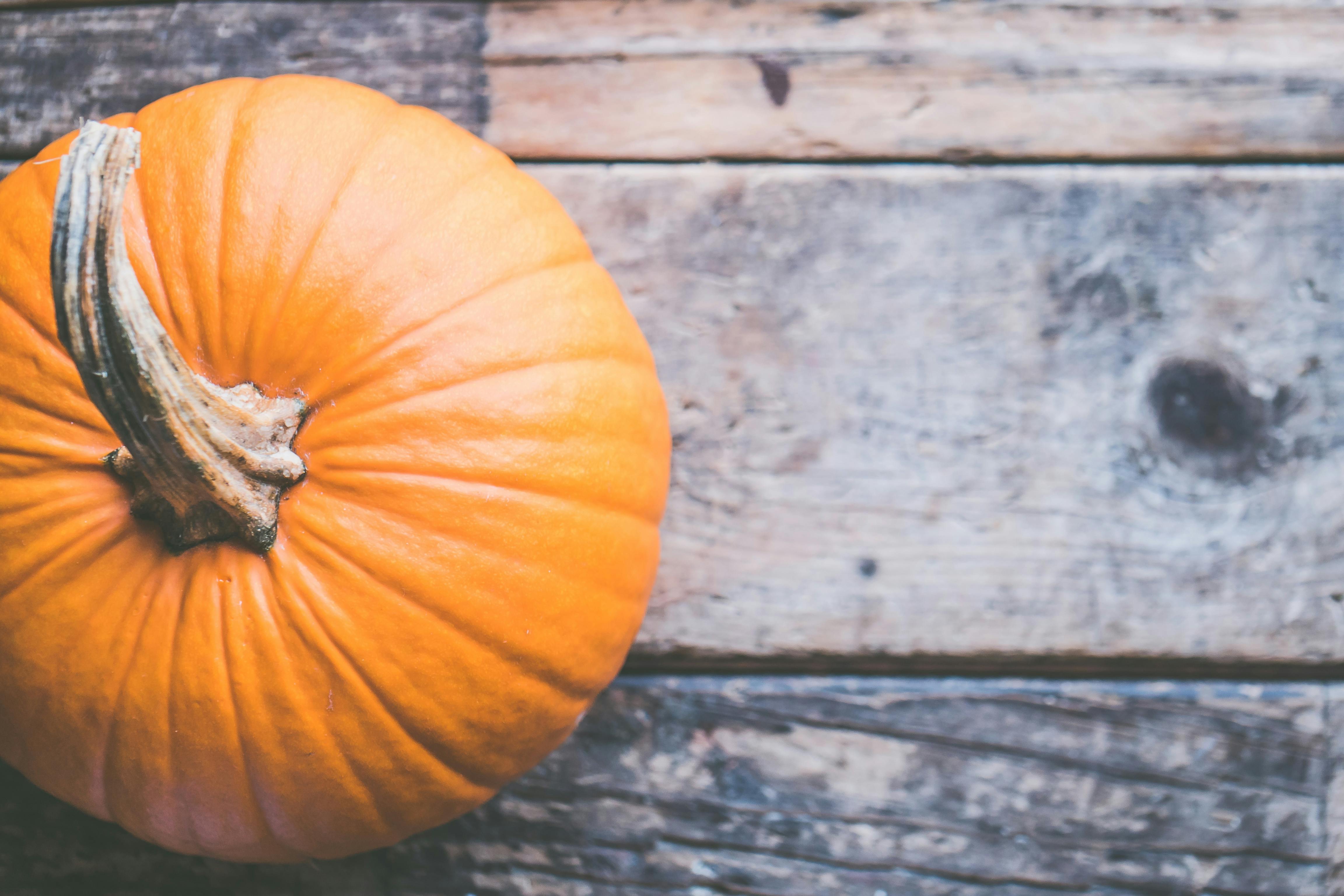 100+ Amazing Pumpkin Photos · Pexels · Free Stock Photos