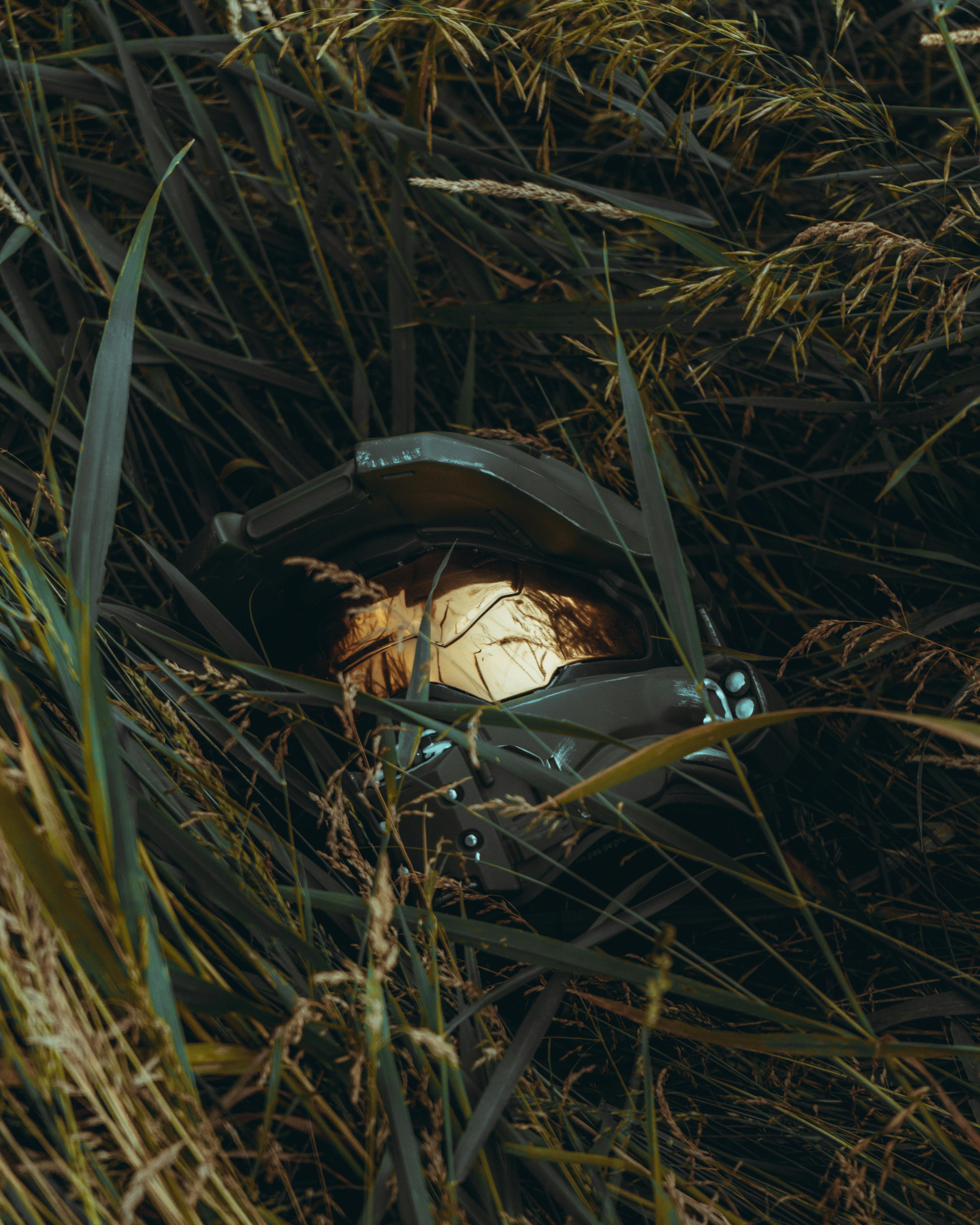 Gray Helmet on the wheat Grass · Free Stock Photo