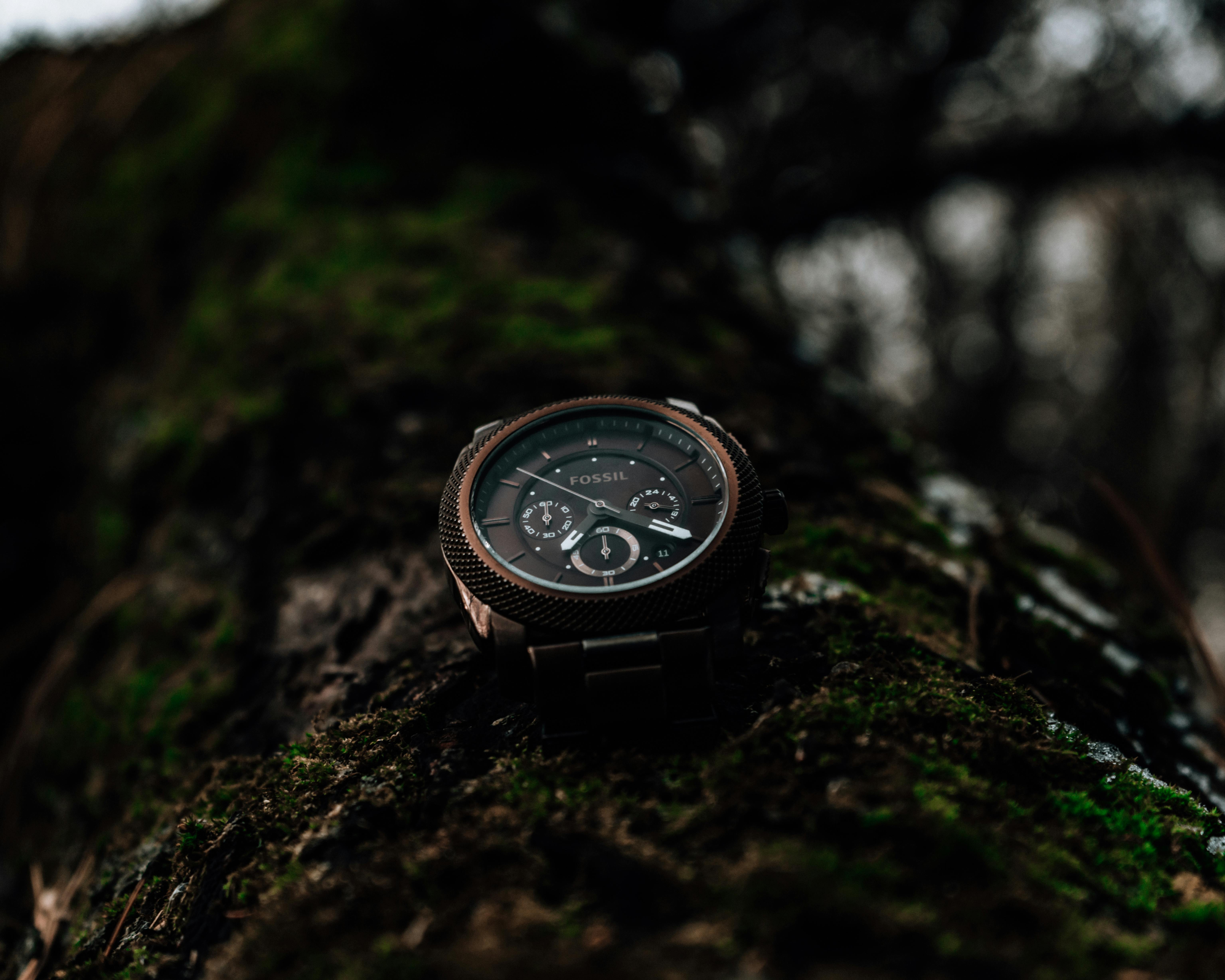 Black Chronograph Wristwatch Laid on Tree Trunk · Free Stock Photo