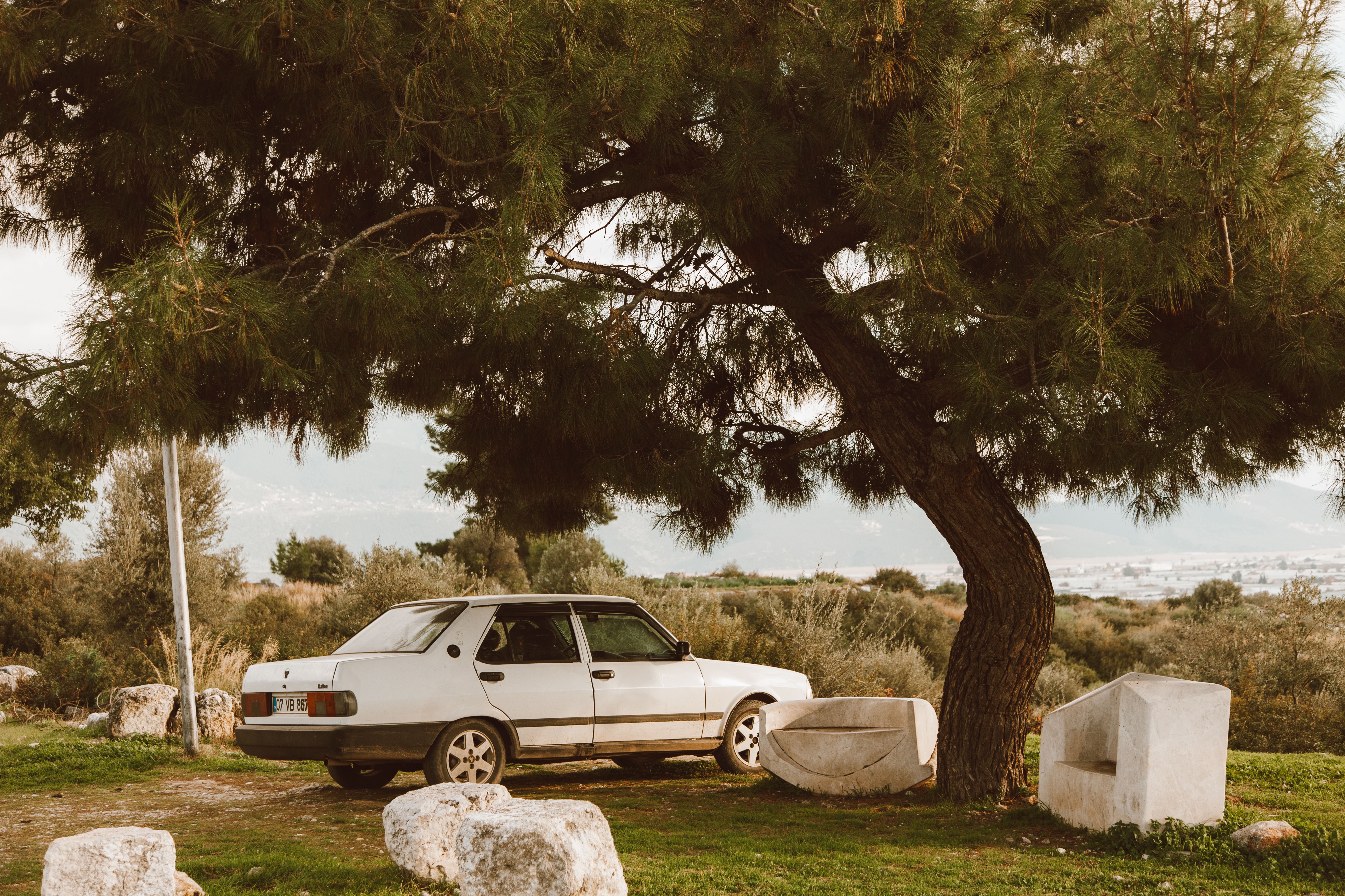Car Parked on Grass under Tree · Free Stock Photo