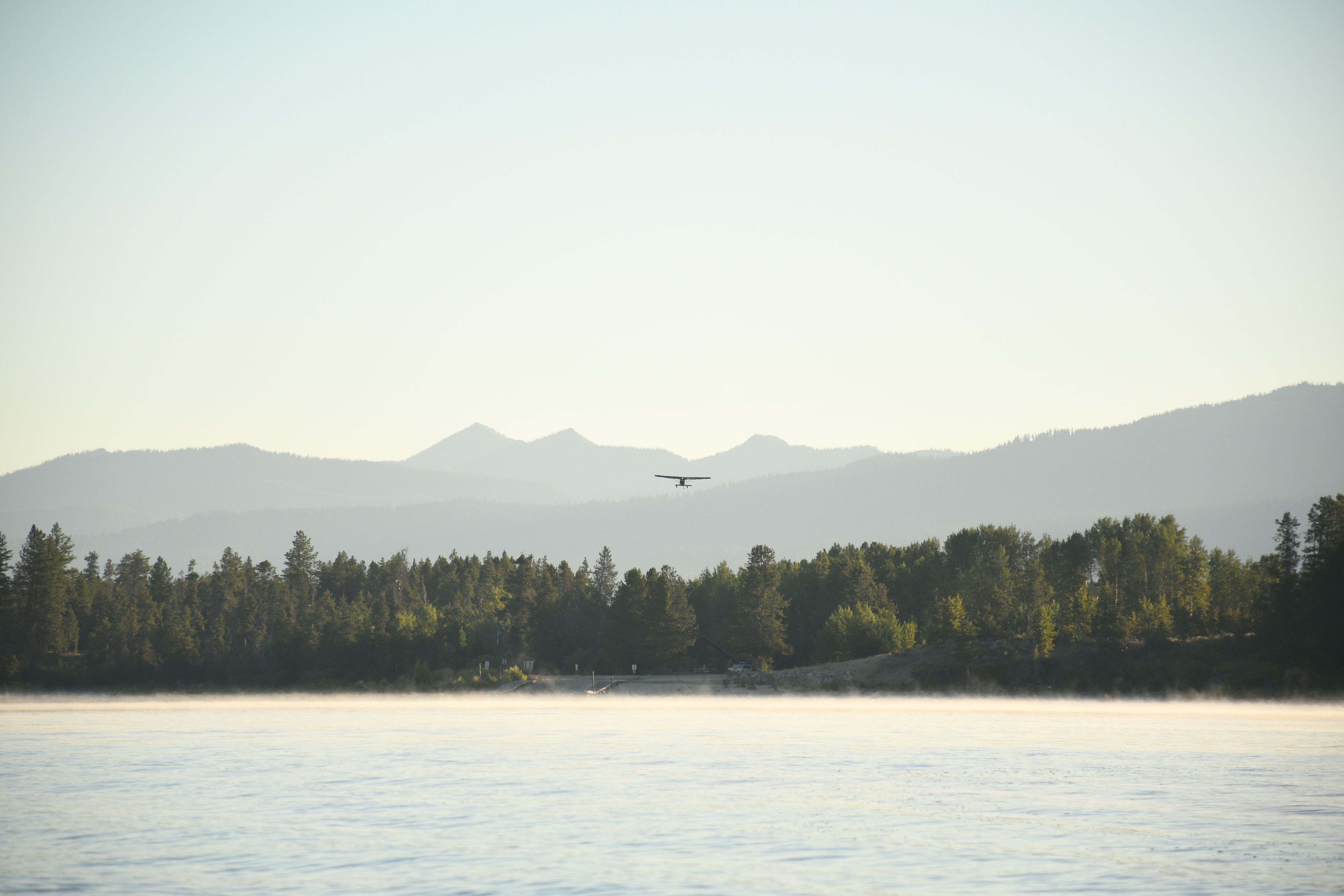 Plane Flying into the Forest by the Lake · Free Stock Photo