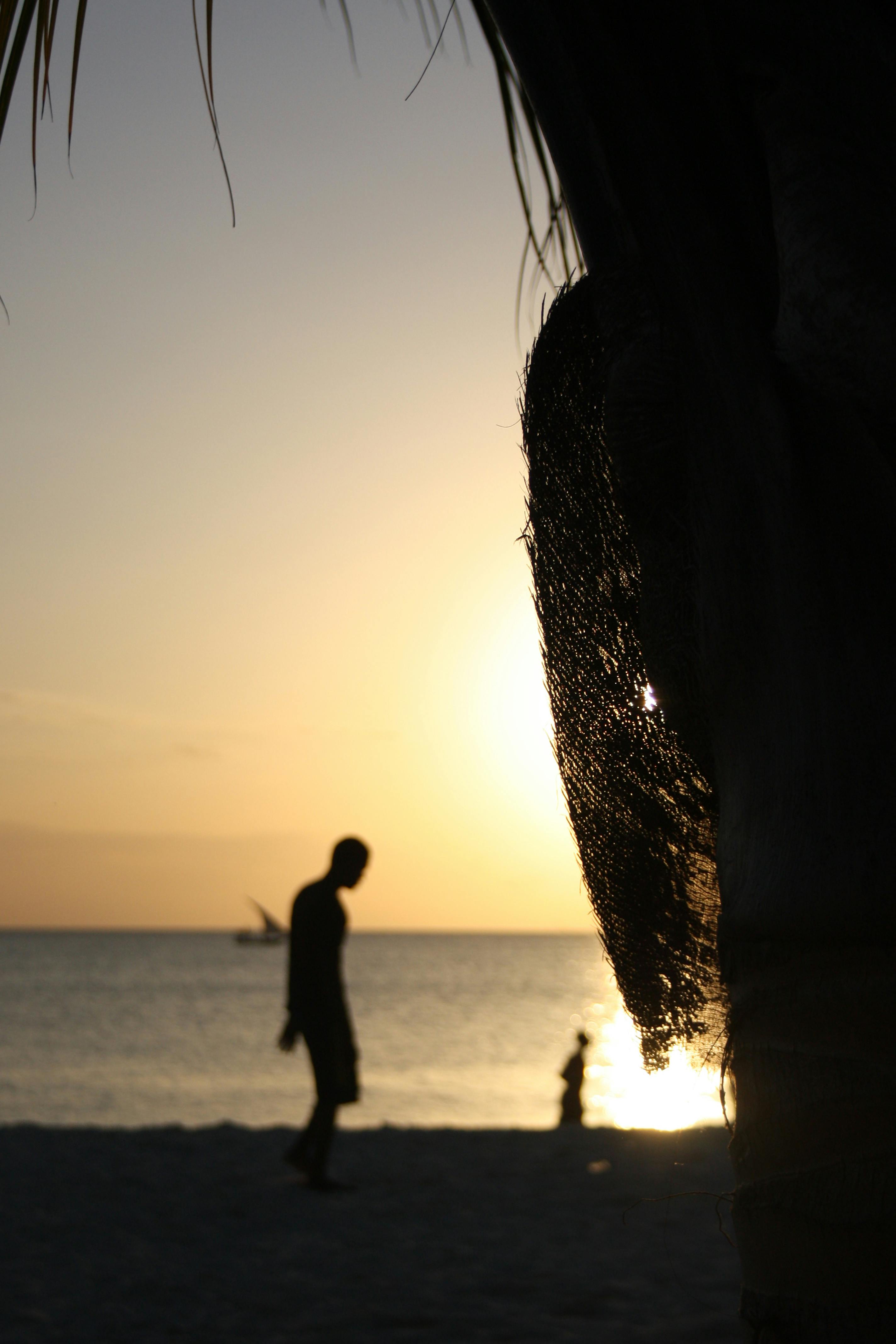 Alexandra P - 사진