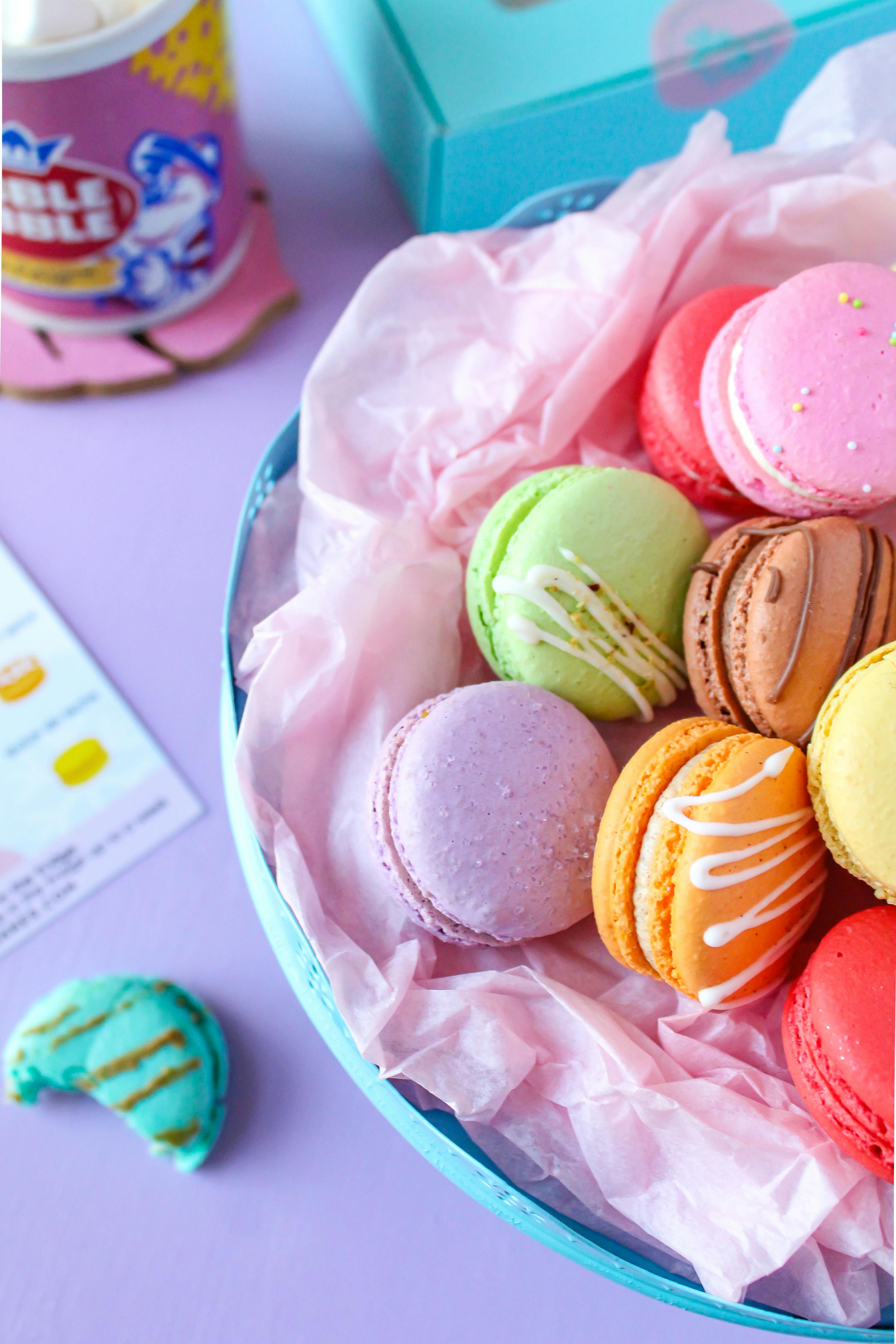 French Macaroons on White Ceramic Plate · Free Stock Photo