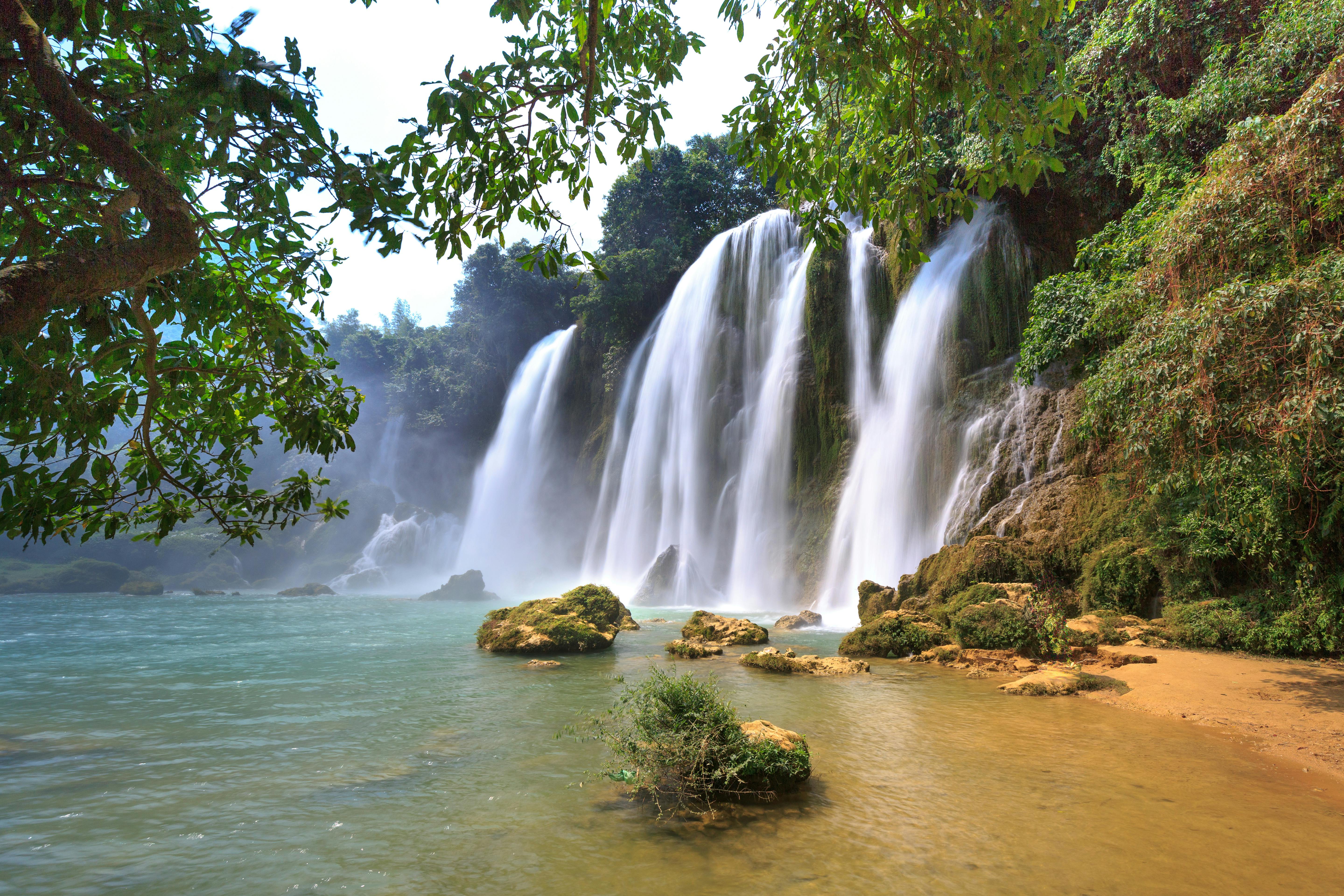 Waterfalls Surrounded by Green Trees · Free Stock Photo