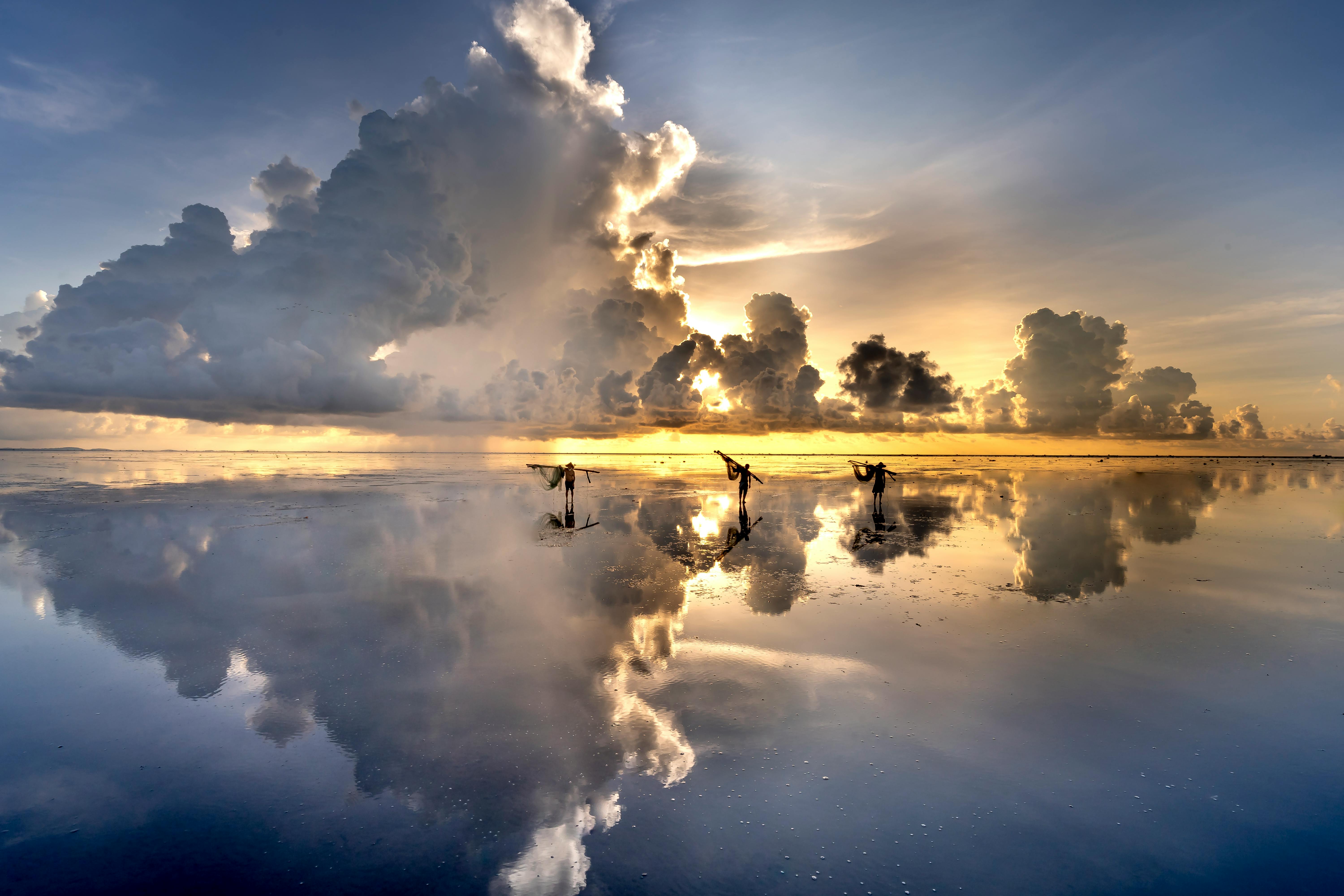 Reflection Of Trees On Water Free Stock Photo