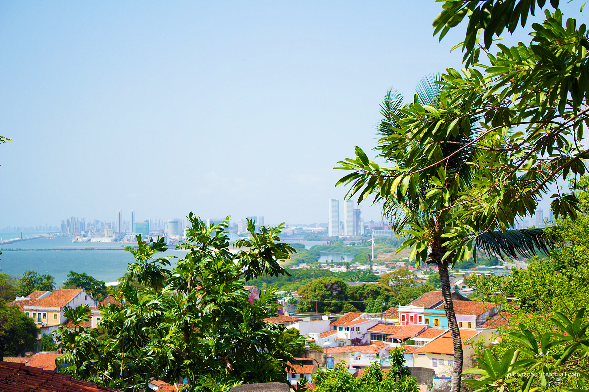 Photography of Houses Surrounded by Trees Near Body of Water · Free ...