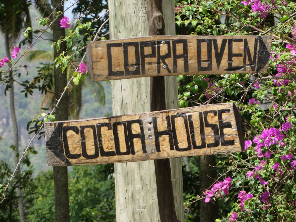 Free Stock Photo From Bash B Pexels Free Stock Photo From Bash B Pexels