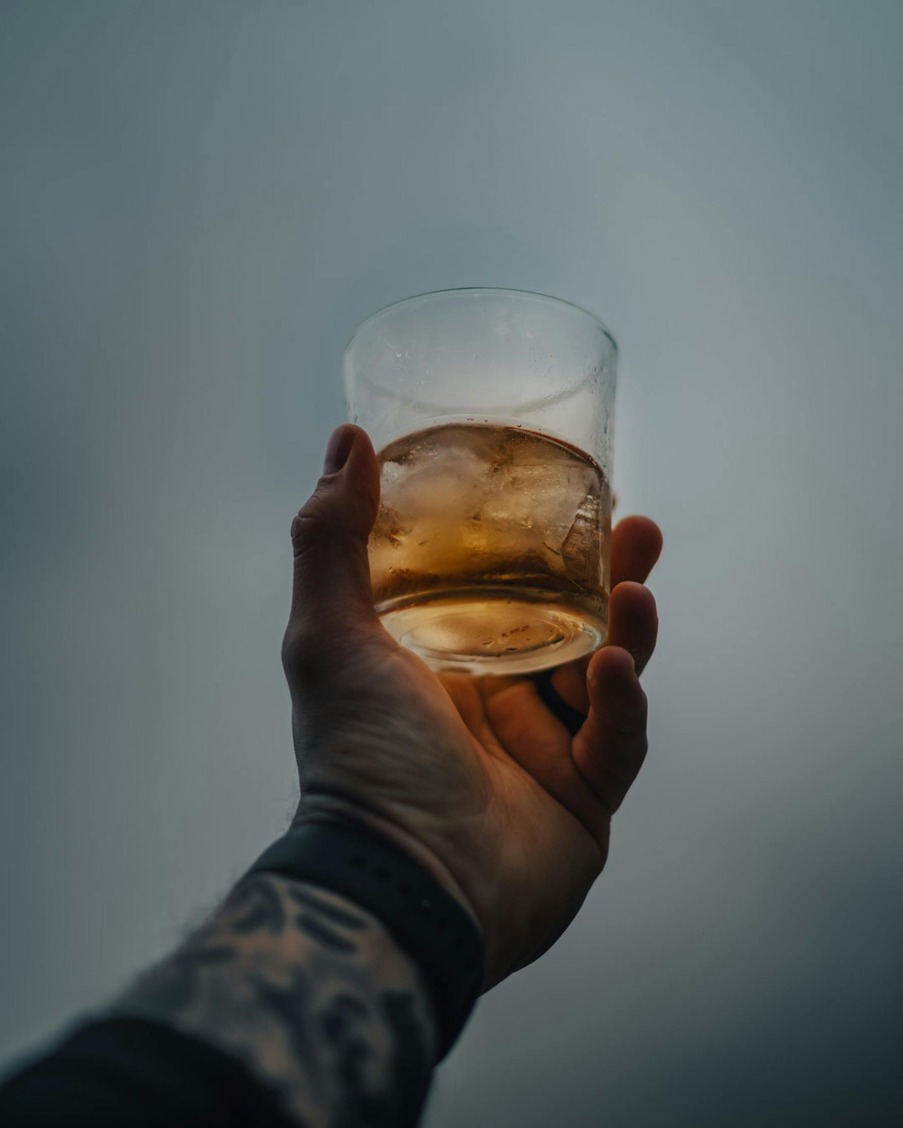 A Person's Hand Holding an Alcoholic Drink · Free Stock Photo
