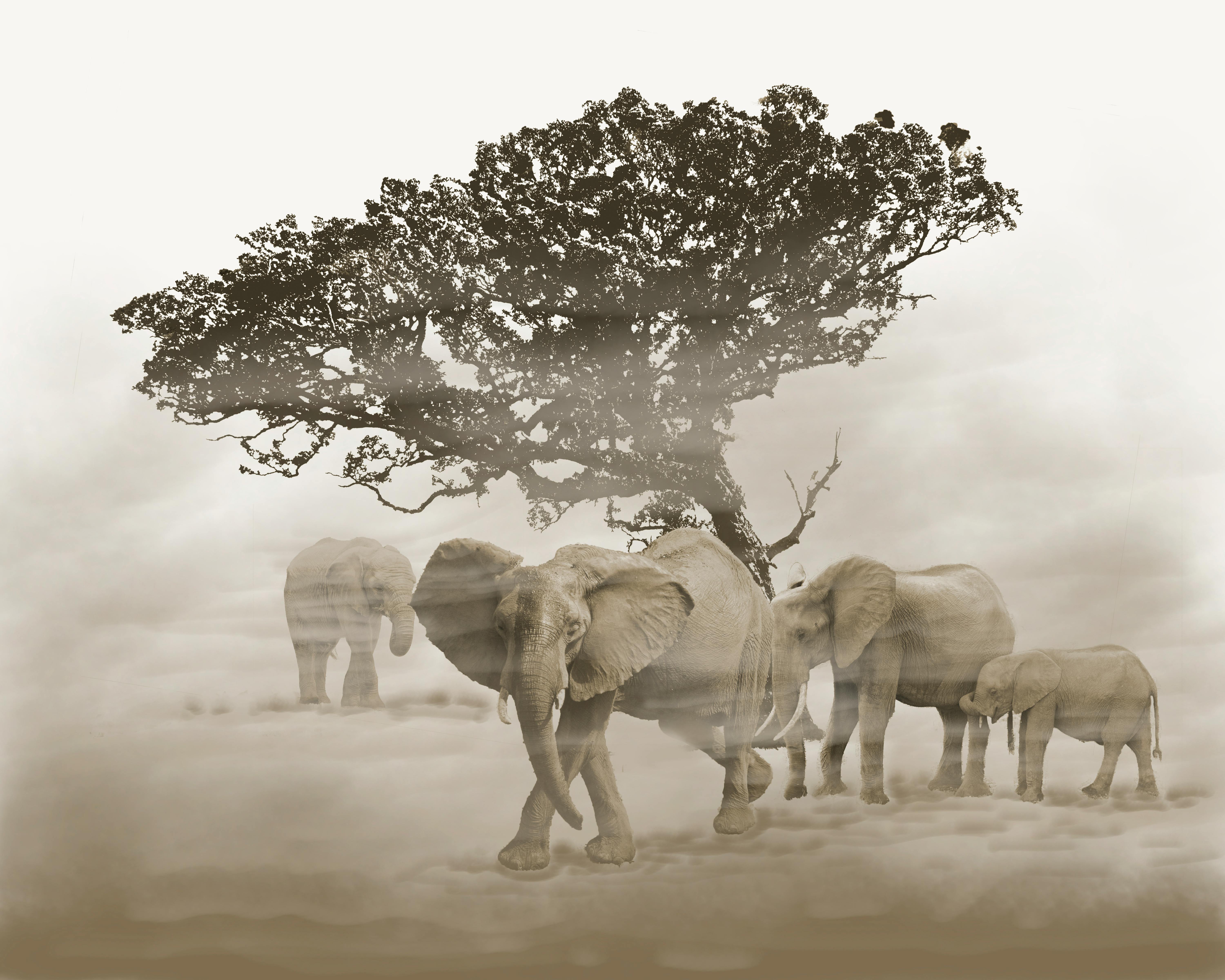 Amanda Martin - Photography