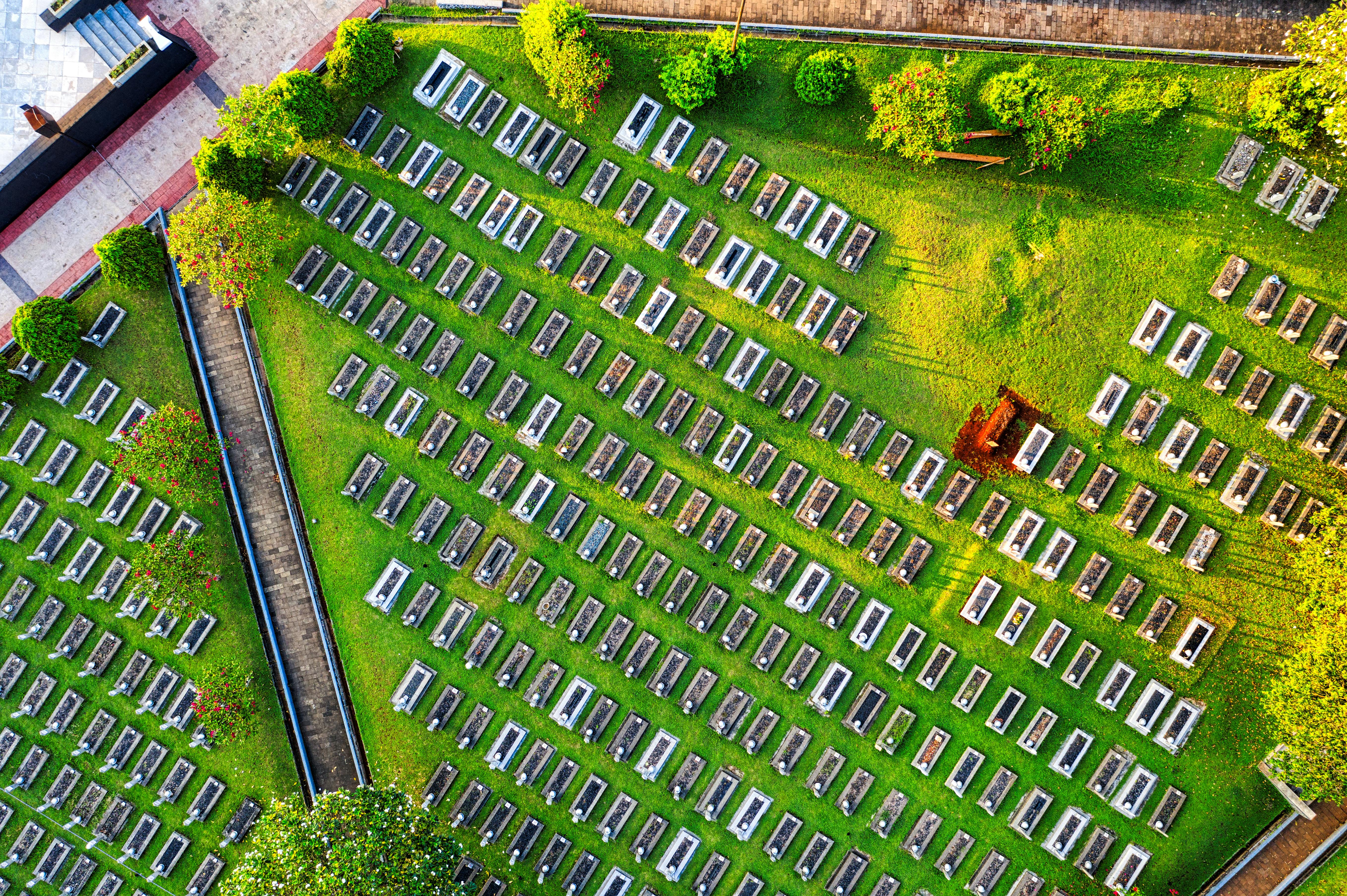 Rows of gravestones in national cemetery · Free Stock Photo