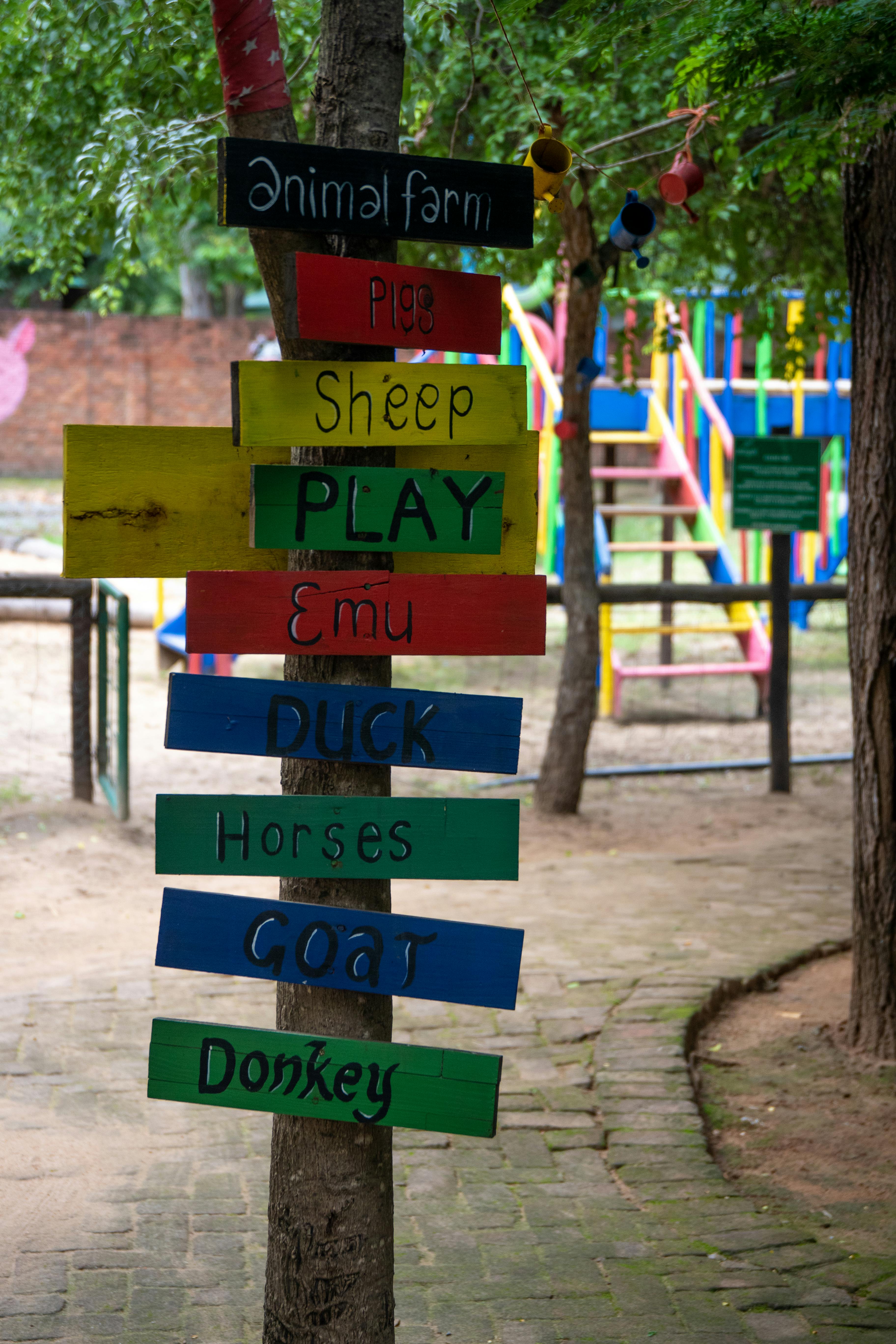 Colorful Boards on Pole at Playground · Free Stock Photo