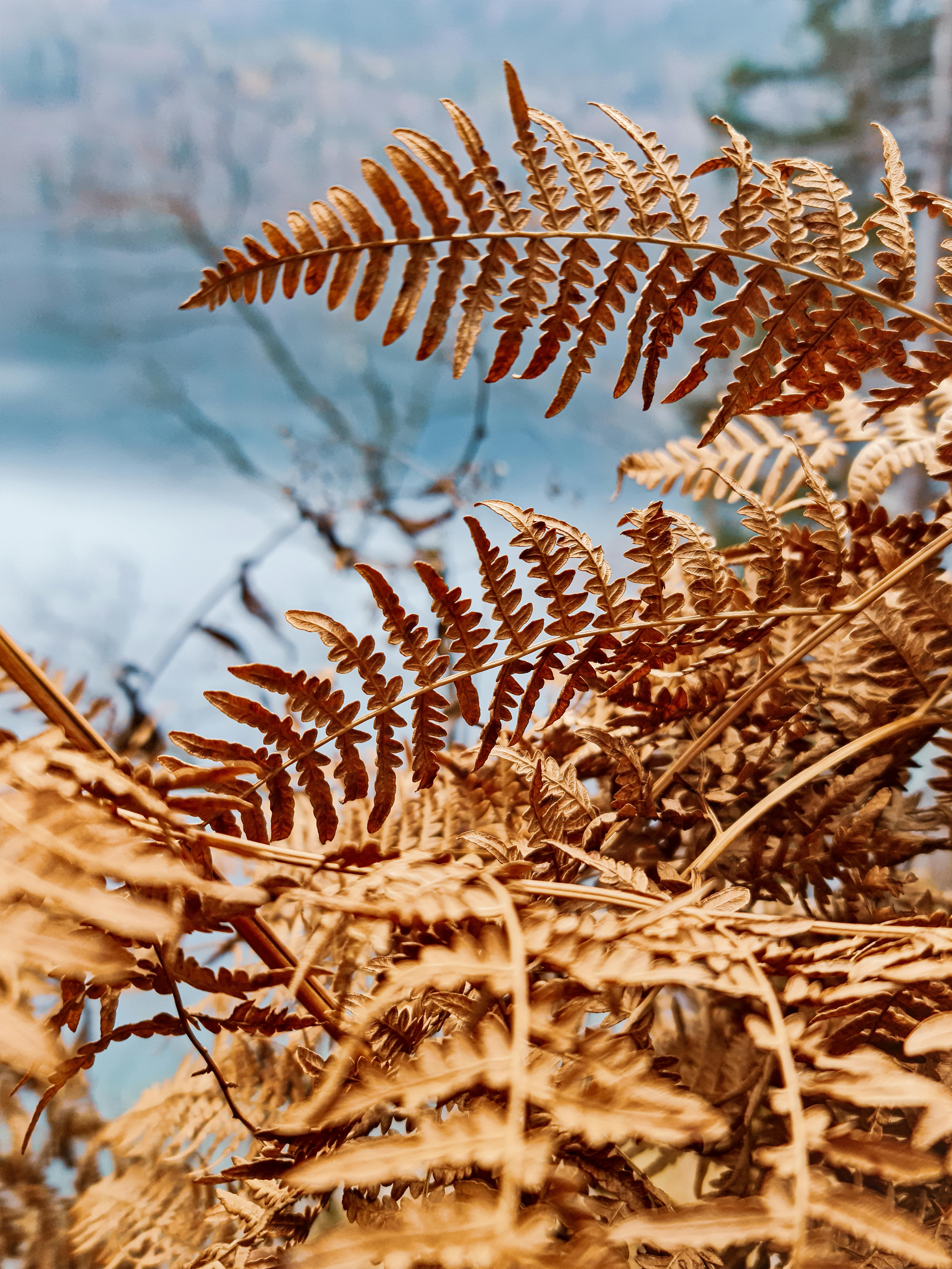 Sarah Kirsch - Photography