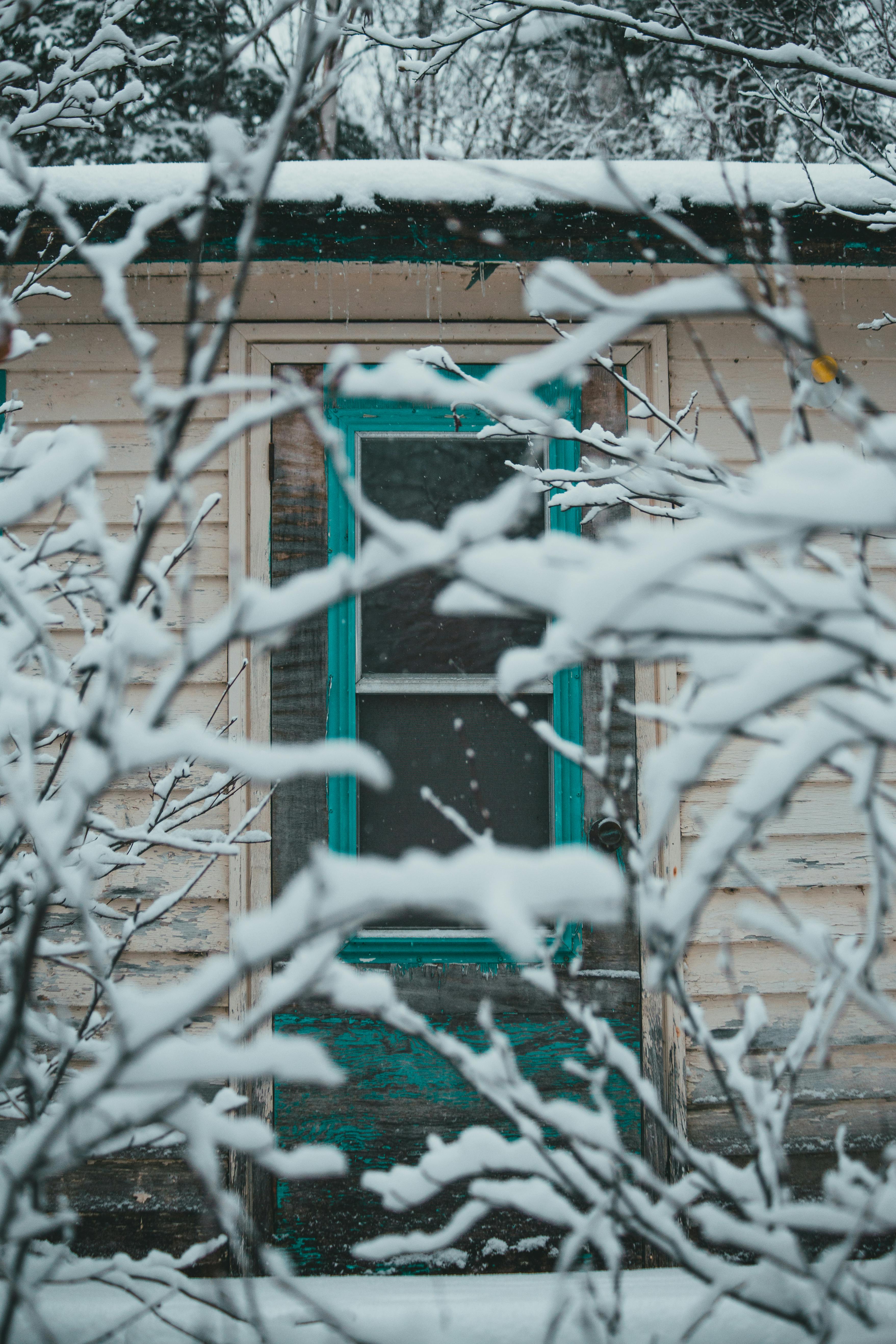 Forest Door Photos, Download The BEST Free Forest Door Stock Photos ...