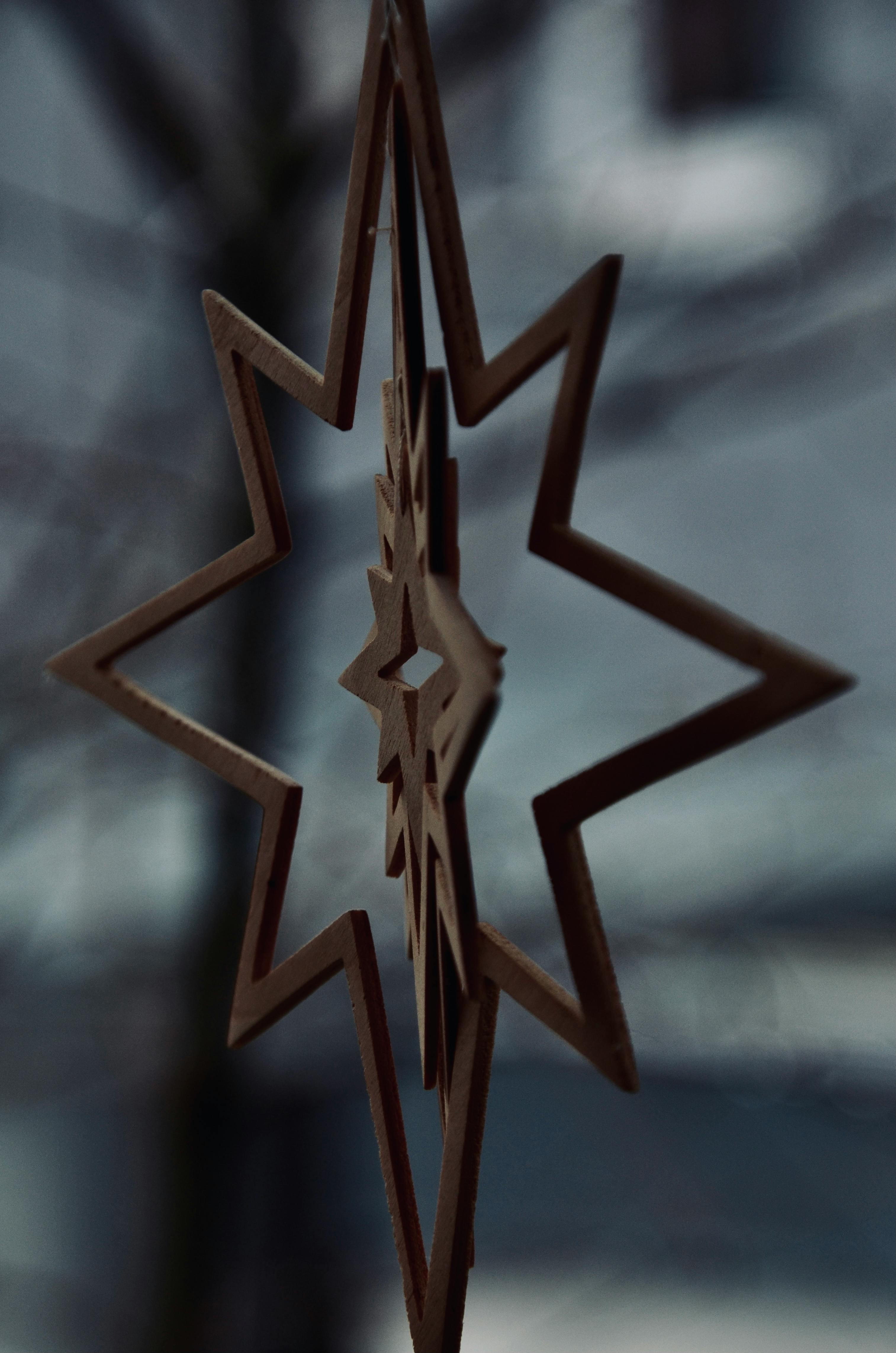 Hanging Ladybug Photos, Download Free Hanging Ladybug Stock Photos & HD ...