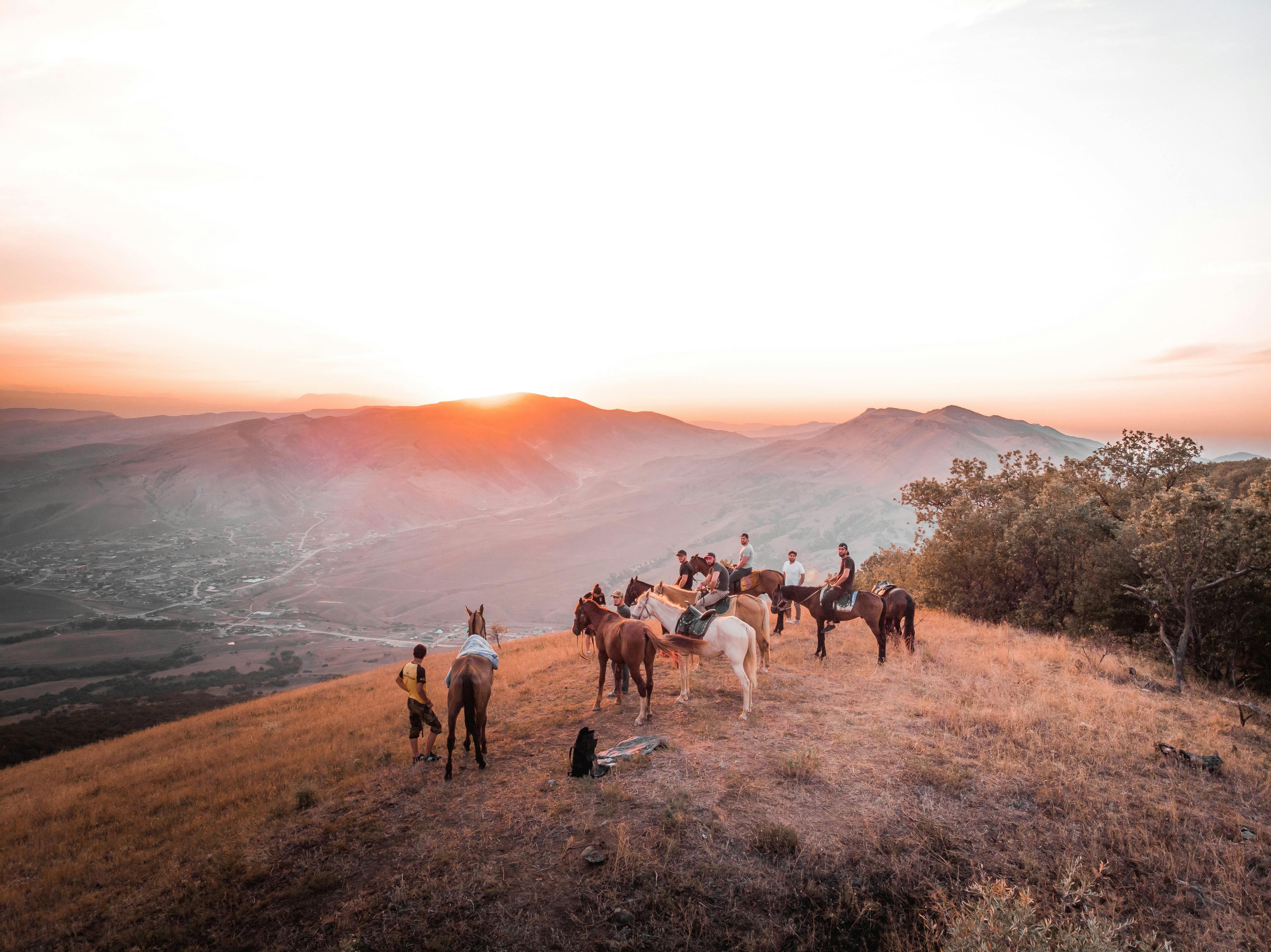 People Riding Horses on Brown Grass Field · Free Stock Photo