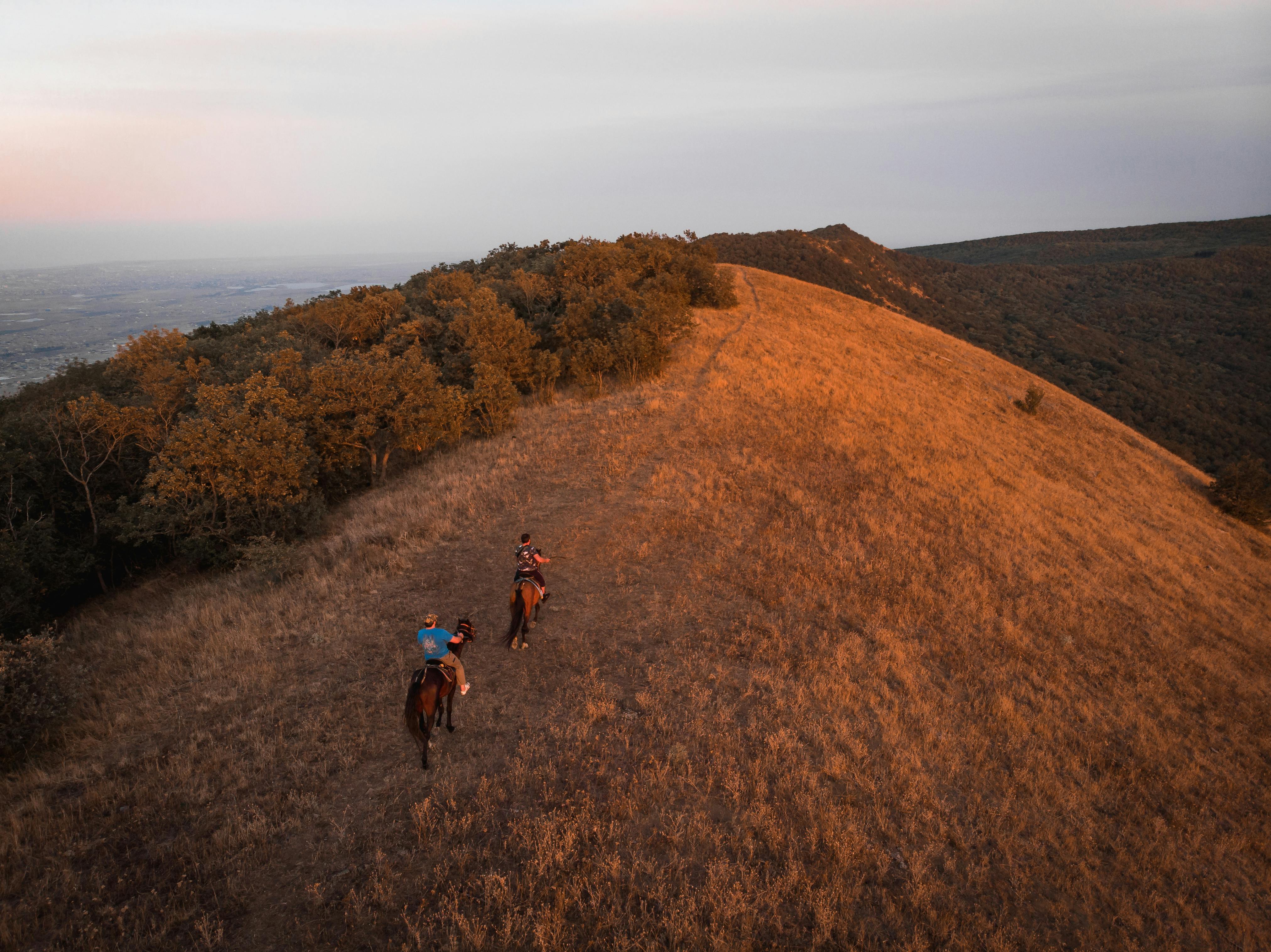 Men Riding a Horse on the Mountain · Free Stock Photo