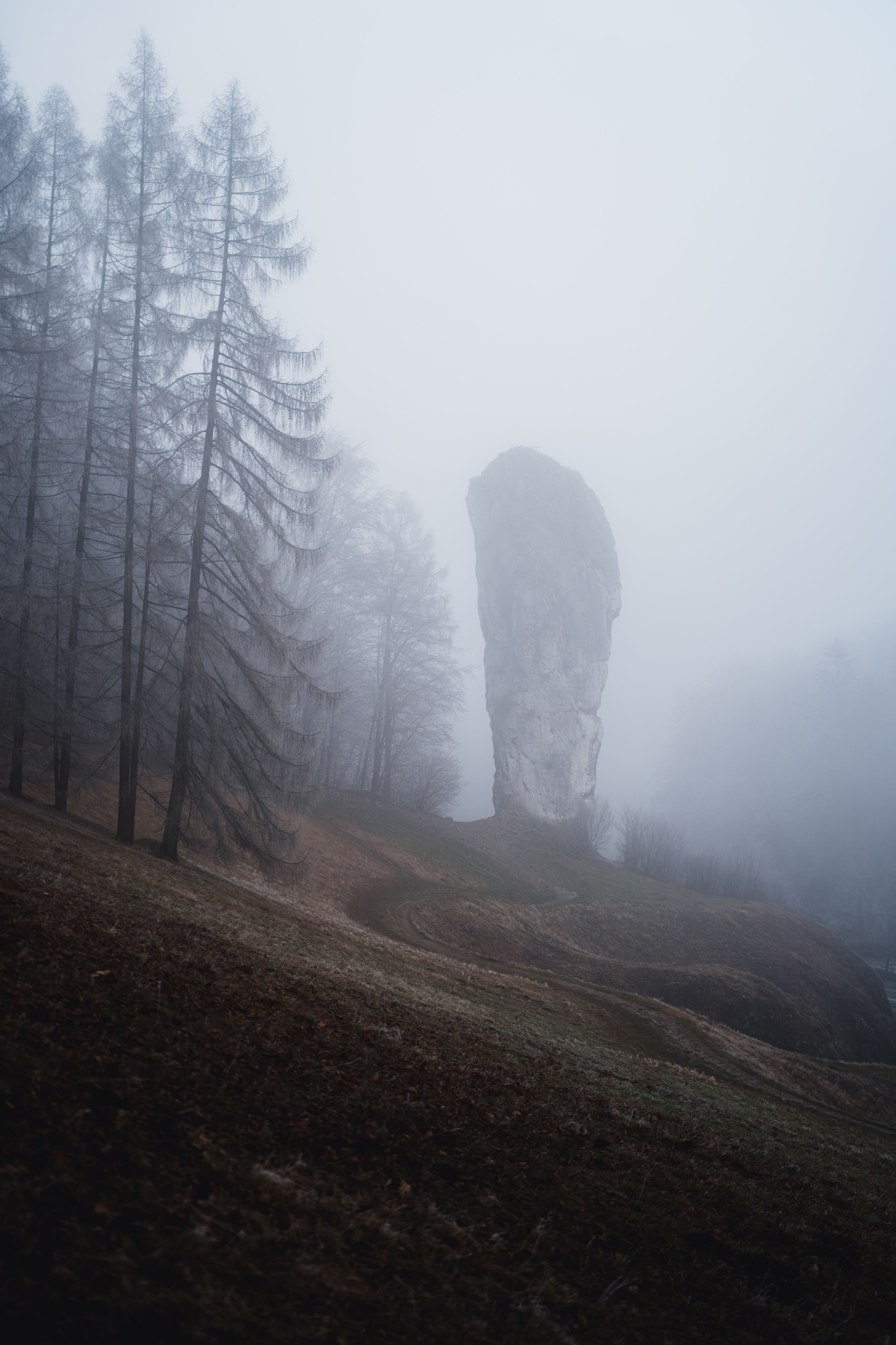 Maczuga Herkulesa in Poland · Free Stock Photo
