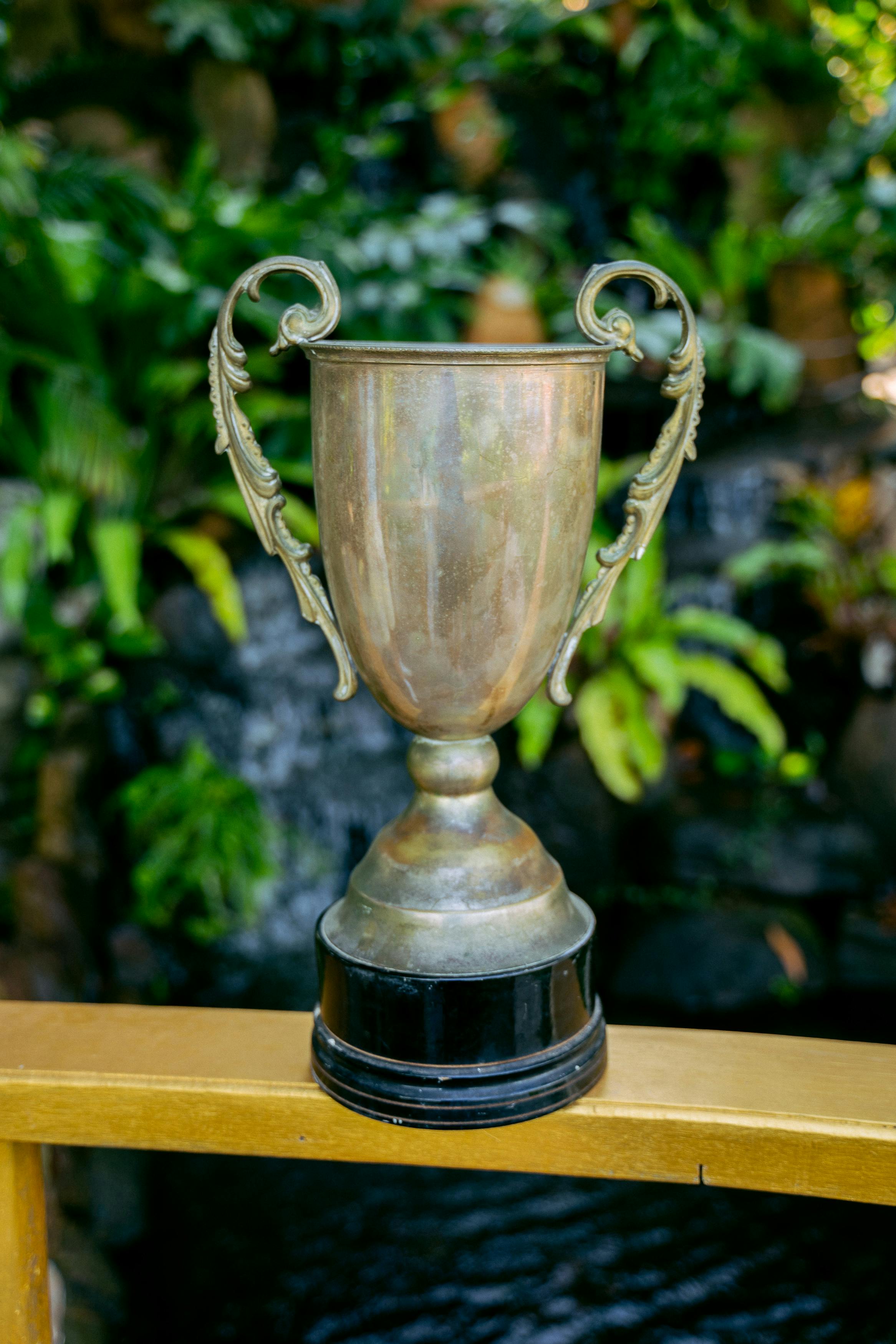 Campbell Trophy Photos, Download Free Campbell Trophy Stock Photos & HD ...