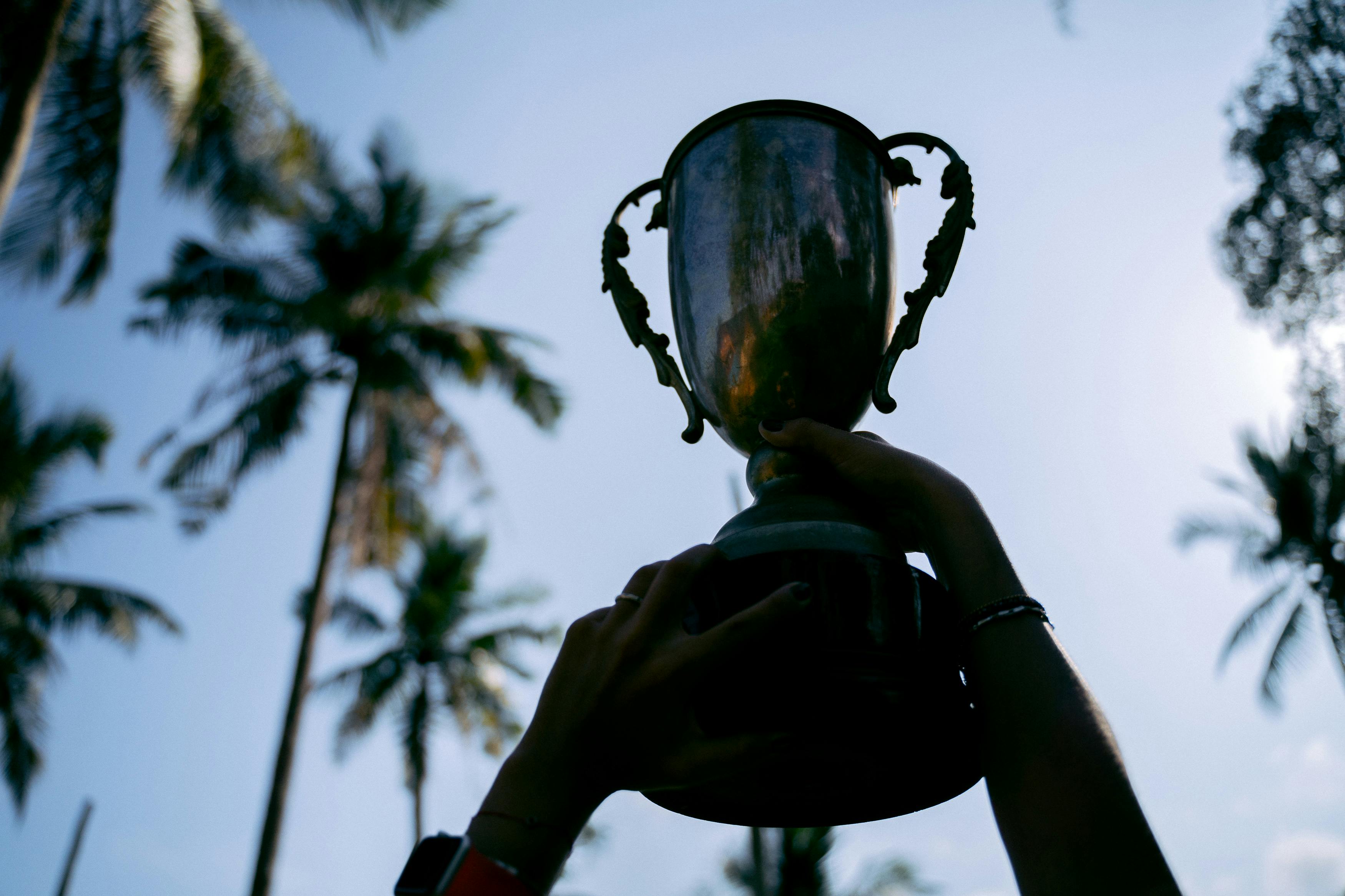 Trophy Photos, Download The BEST Free Trophy Stock Photos & HD Images