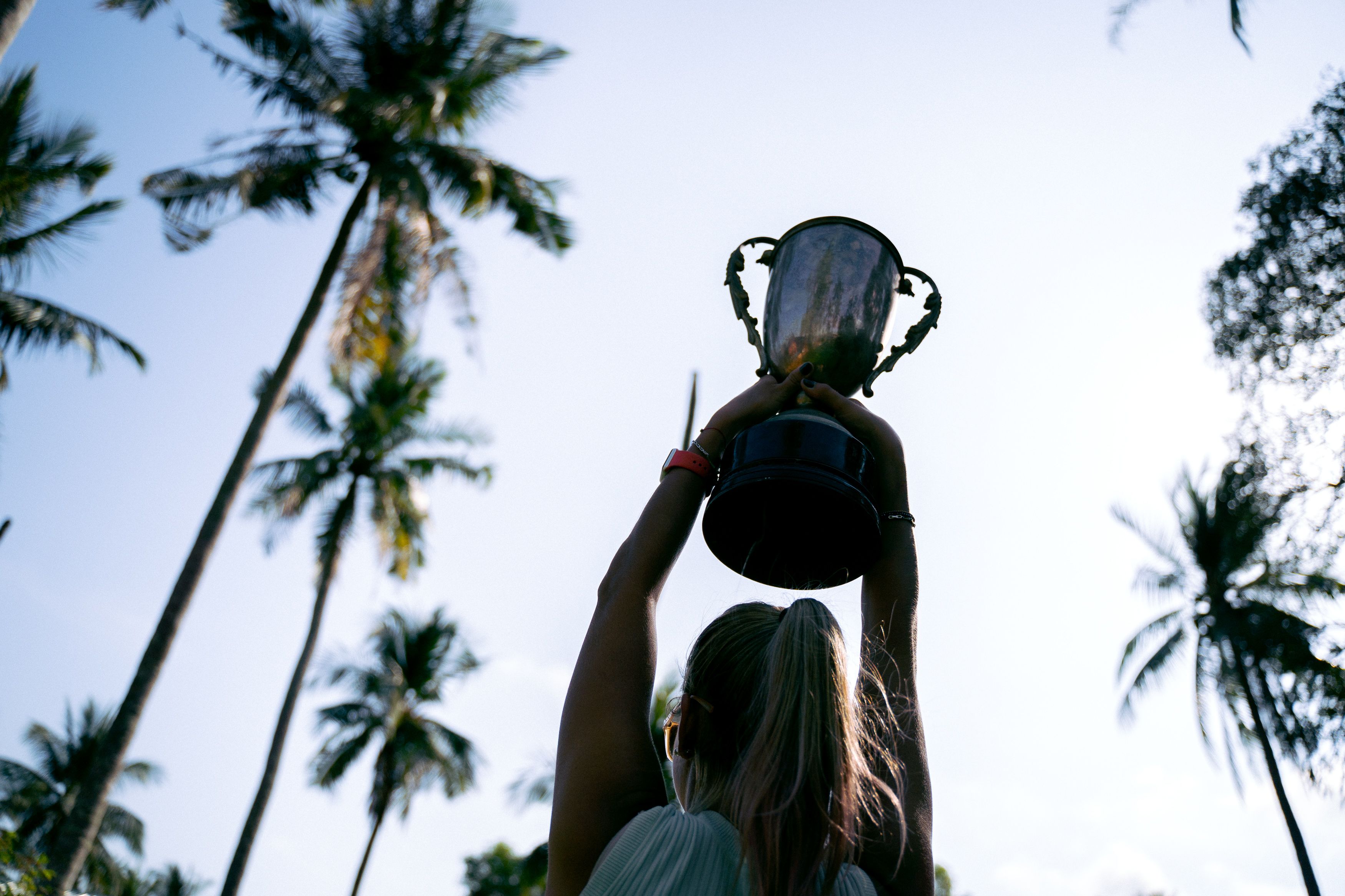 Trophy Photos, Download The BEST Free Trophy Stock Photos & HD Images