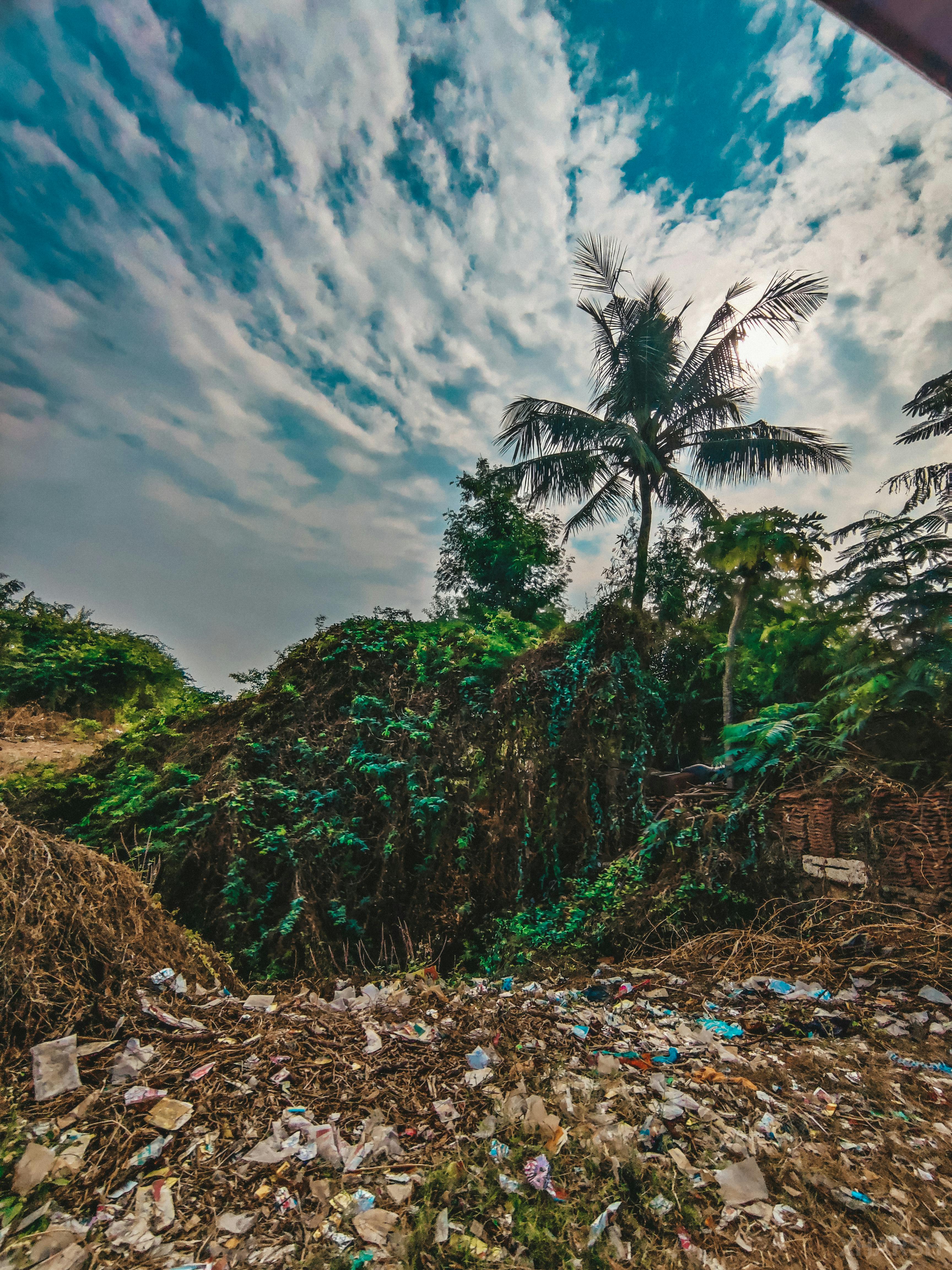 Free stock photo from HARSH · Pexels